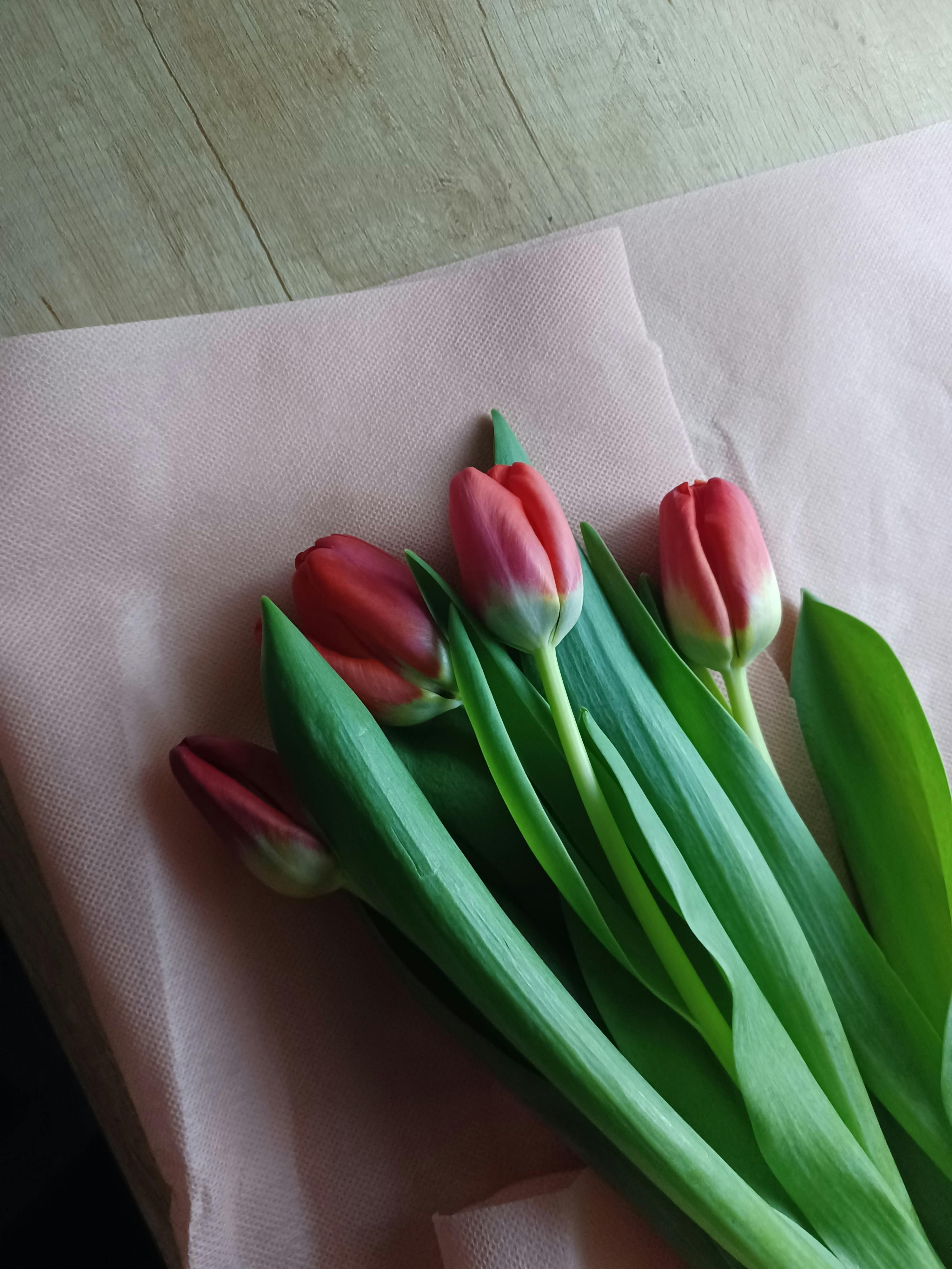 Smashed Paper Photos, Download The BEST Free Smashed Paper Stock Photos ...