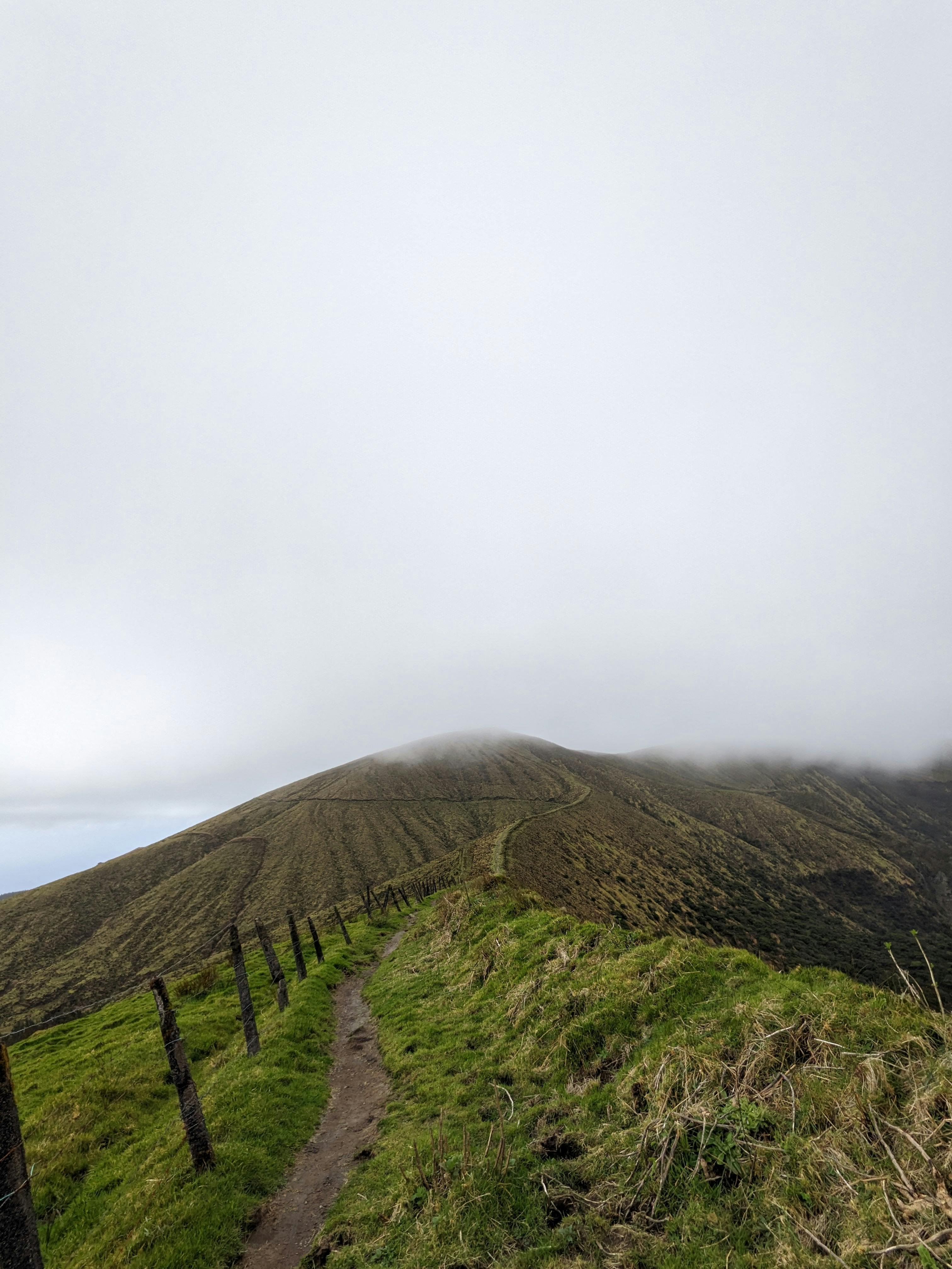 Kassandre Pedro - 写真