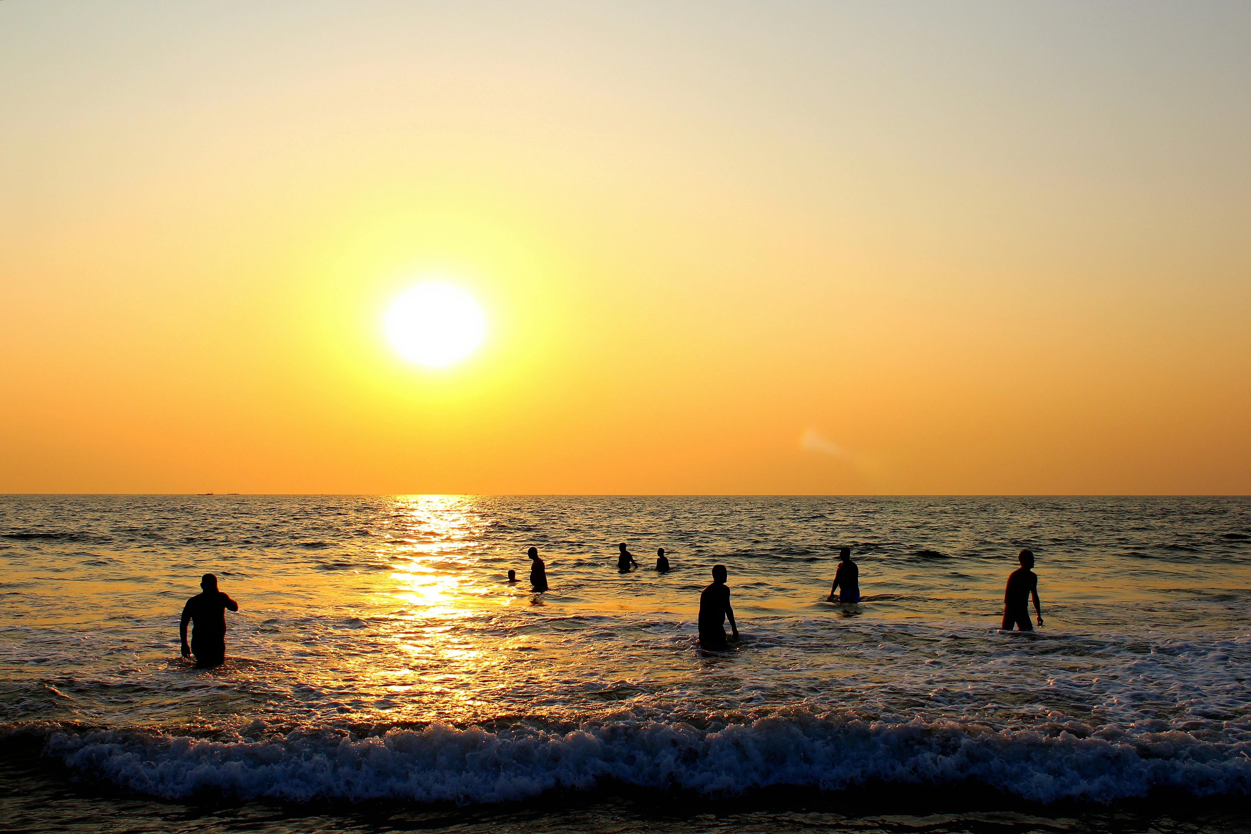 Photo of People On Beach During Sunset · Free Stock Photo