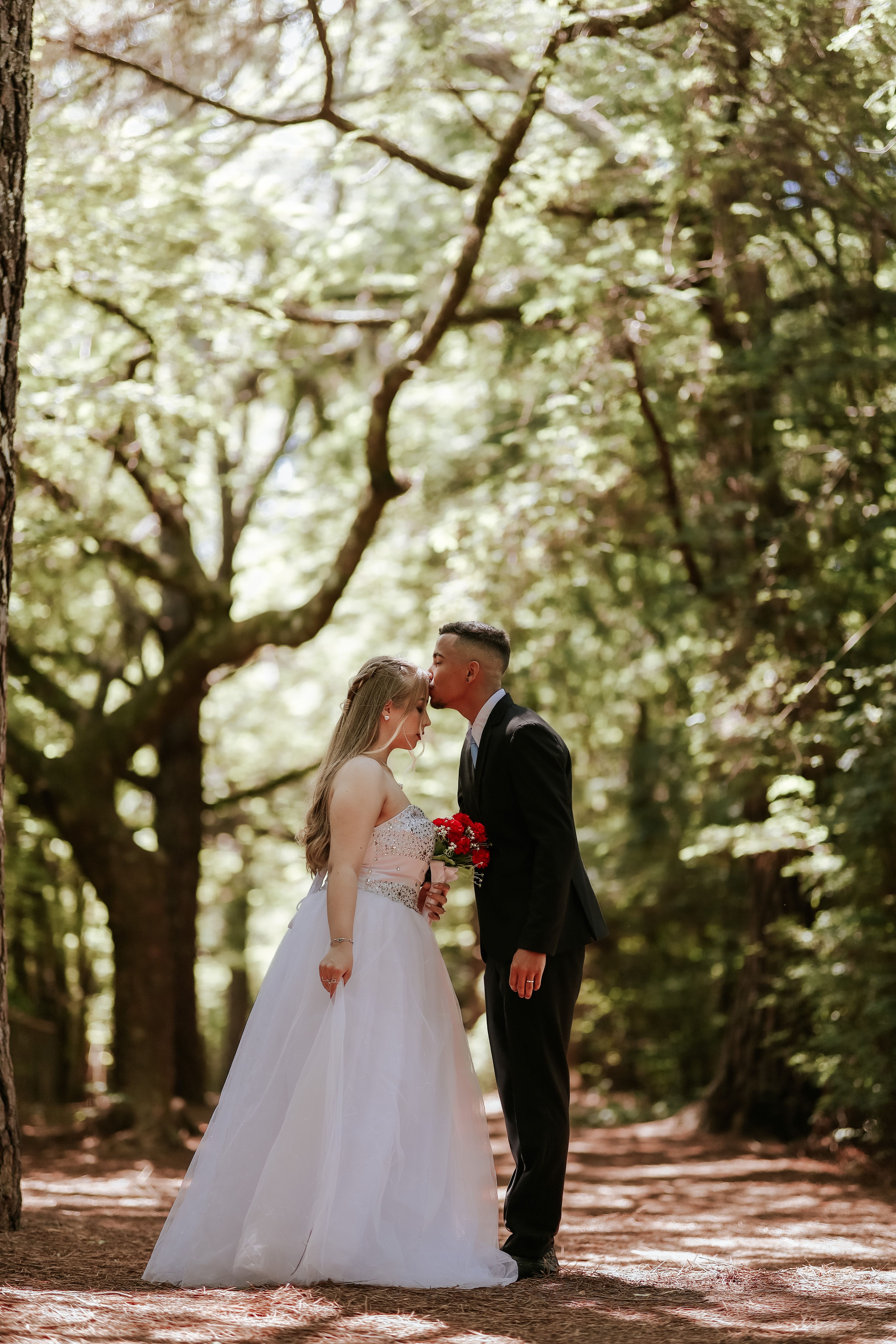 Newlyweds Kissing under Trees · Free Stock Photo