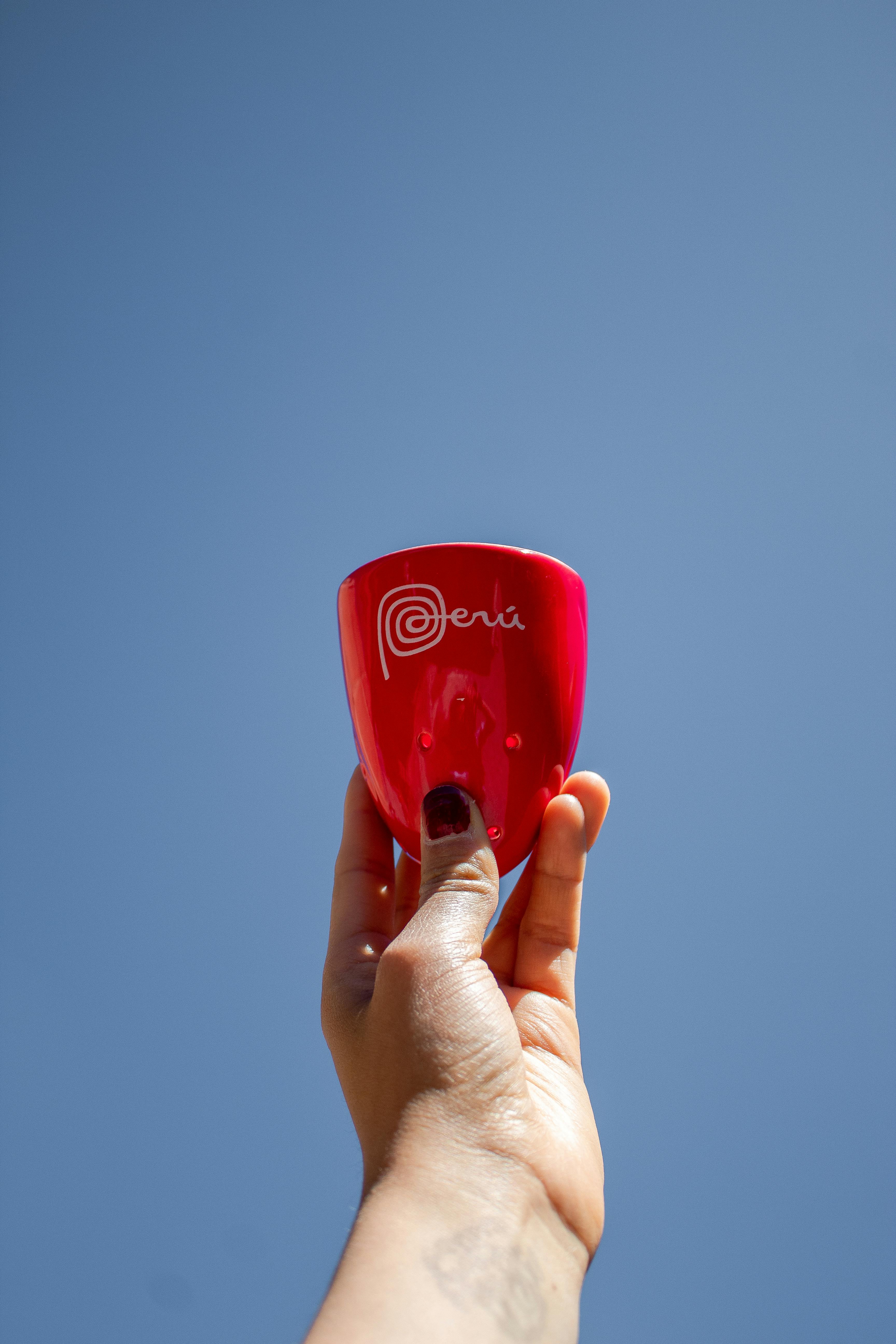 A Person Holding a Cup · Free Stock Photo