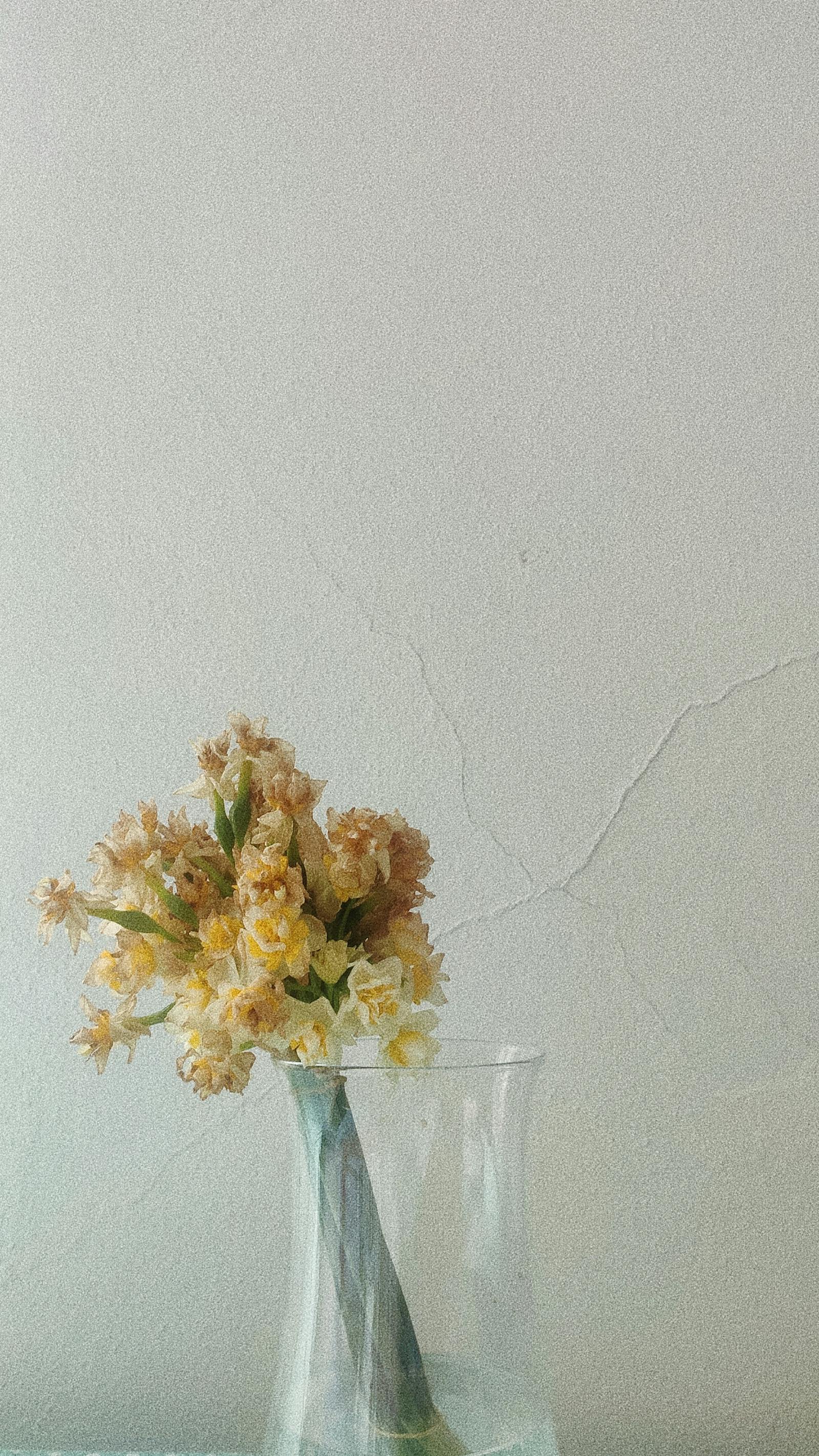 Flowers Vase Photos, Download The BEST Free Flowers Vase Stock Photos ...