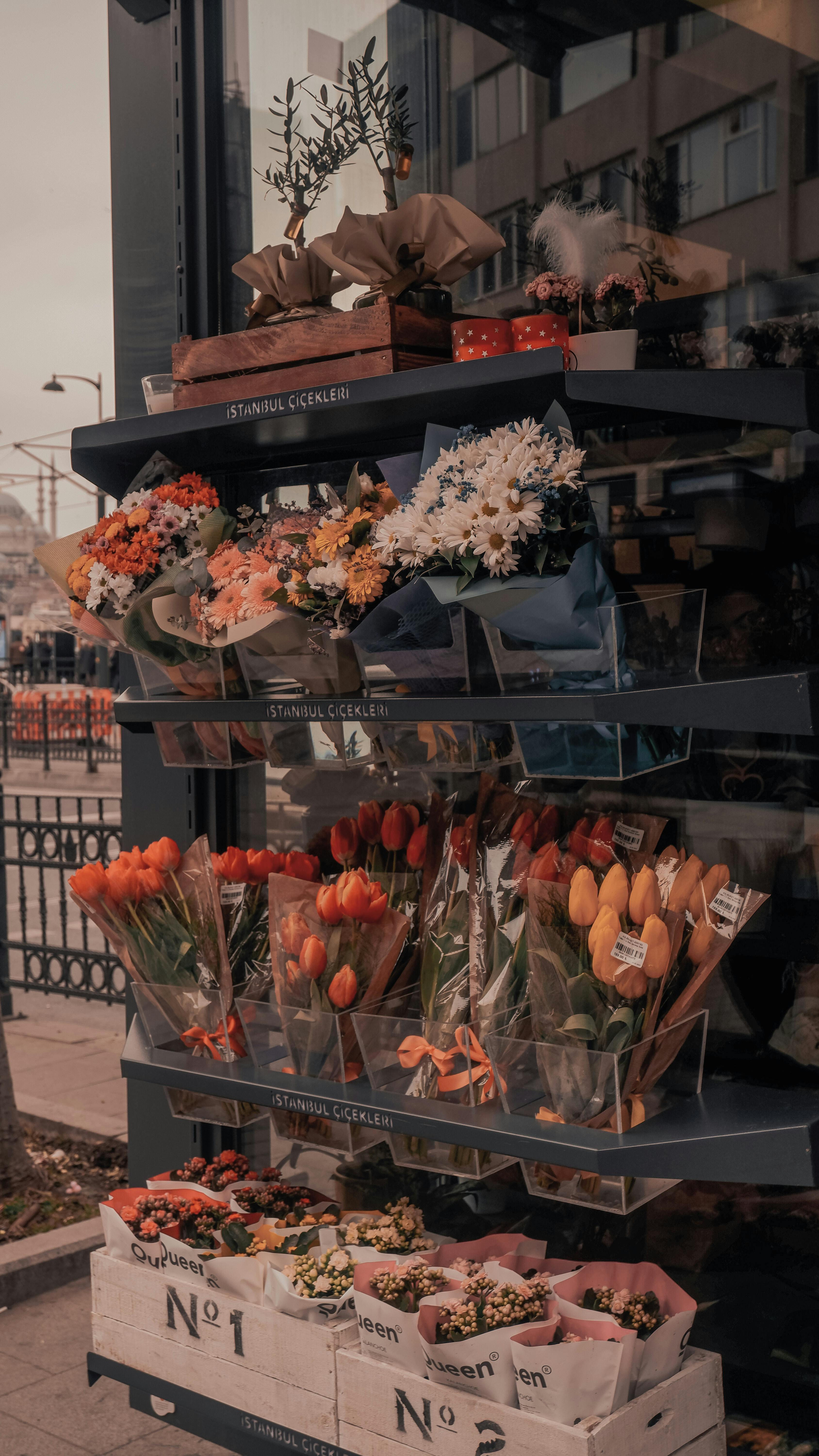 Stocks Of Flowers Photos, Download The BEST Free Stocks Of Flowers ...