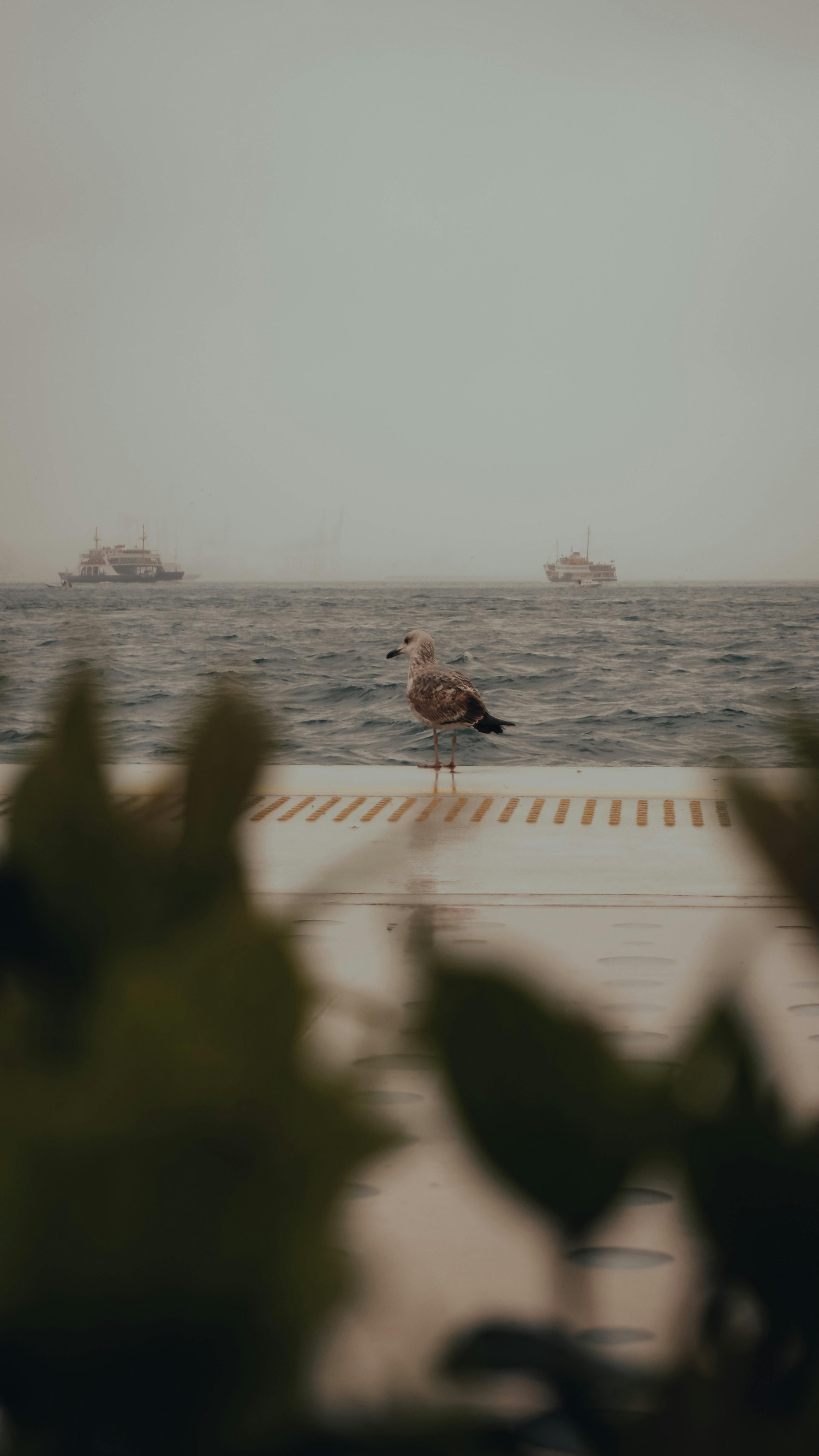 Standing On Ledge Photos, Download The BEST Free Standing On Ledge ...