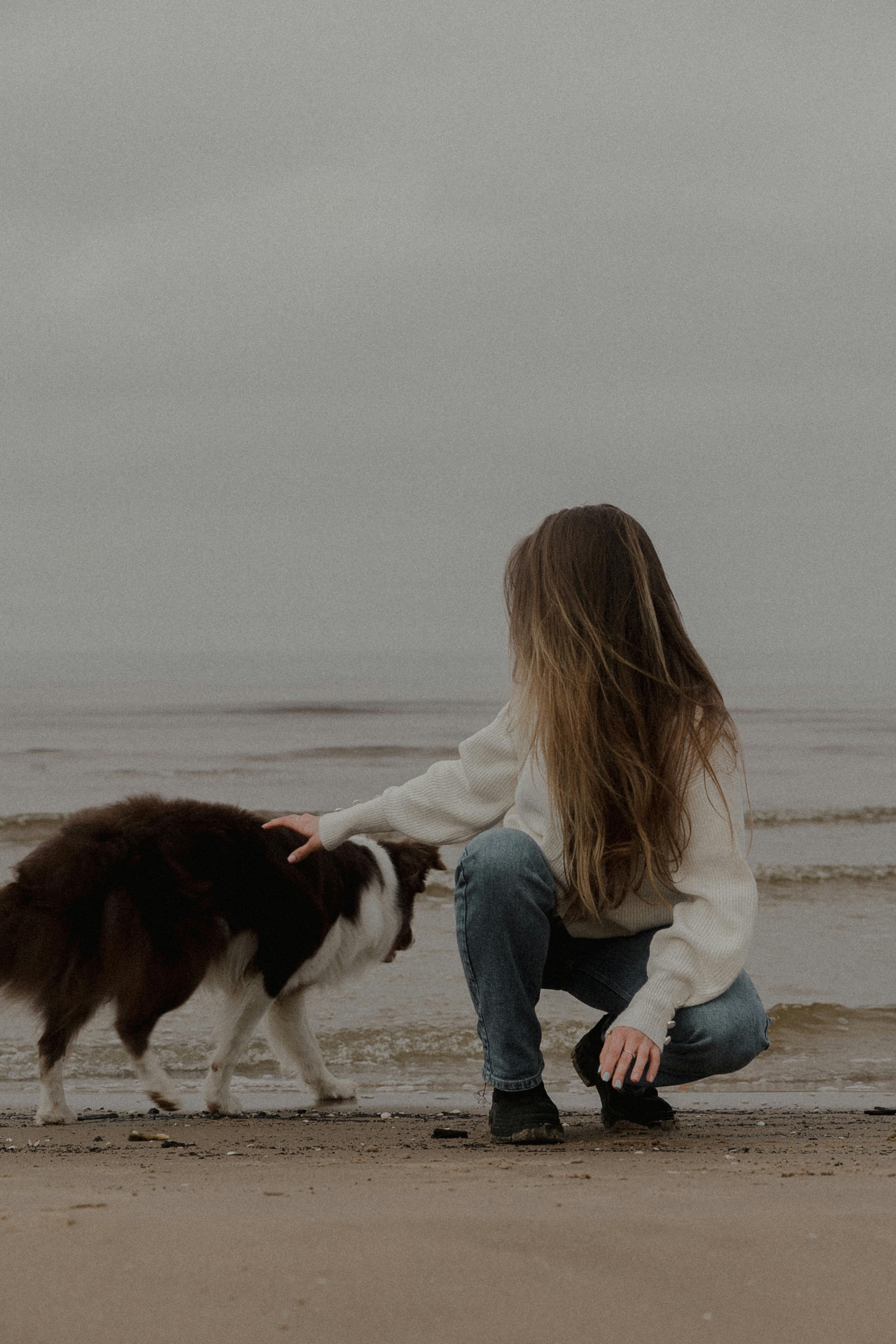 potrait · Free Stock Photo