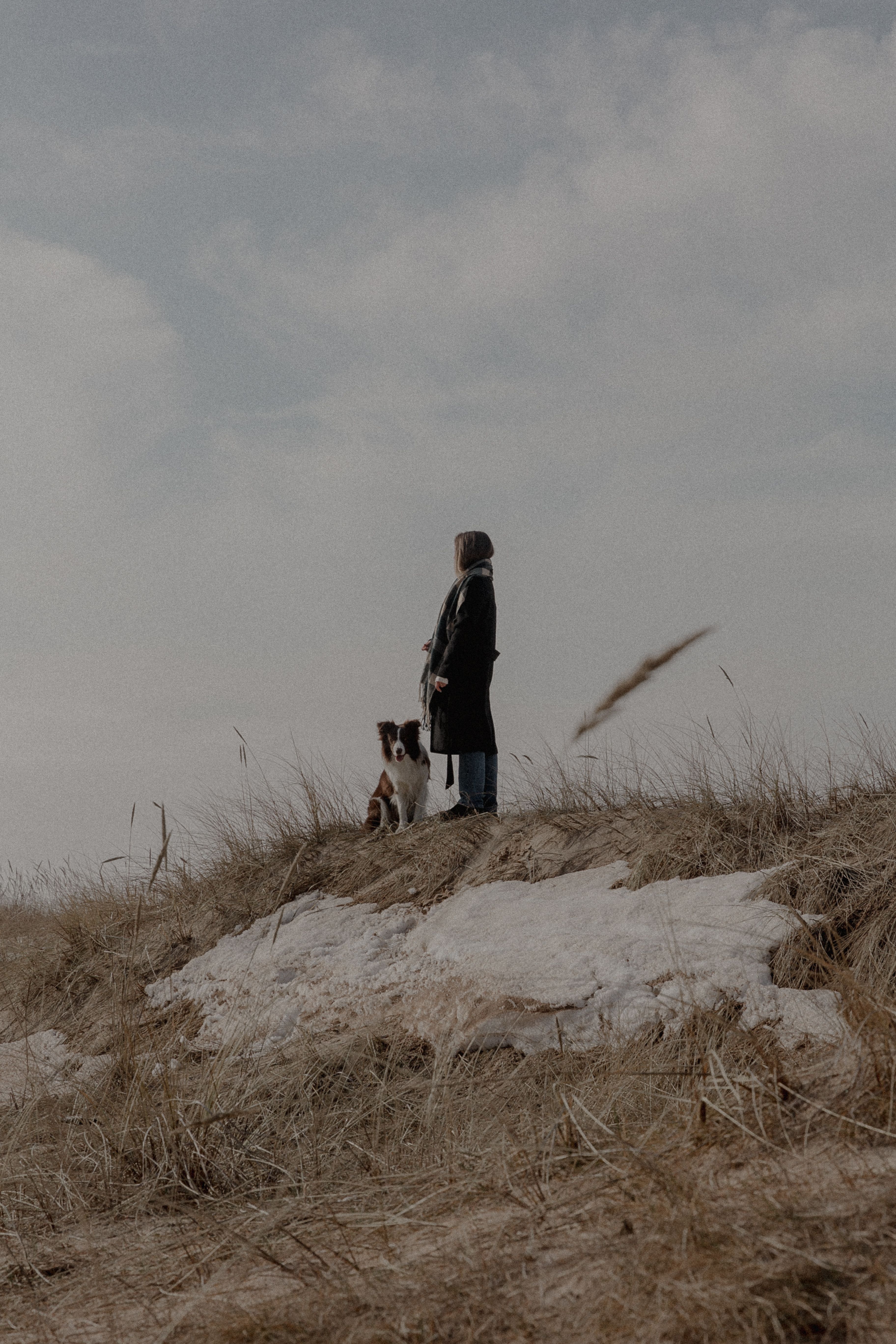 Woman Standing with Dog · Free Stock Photo