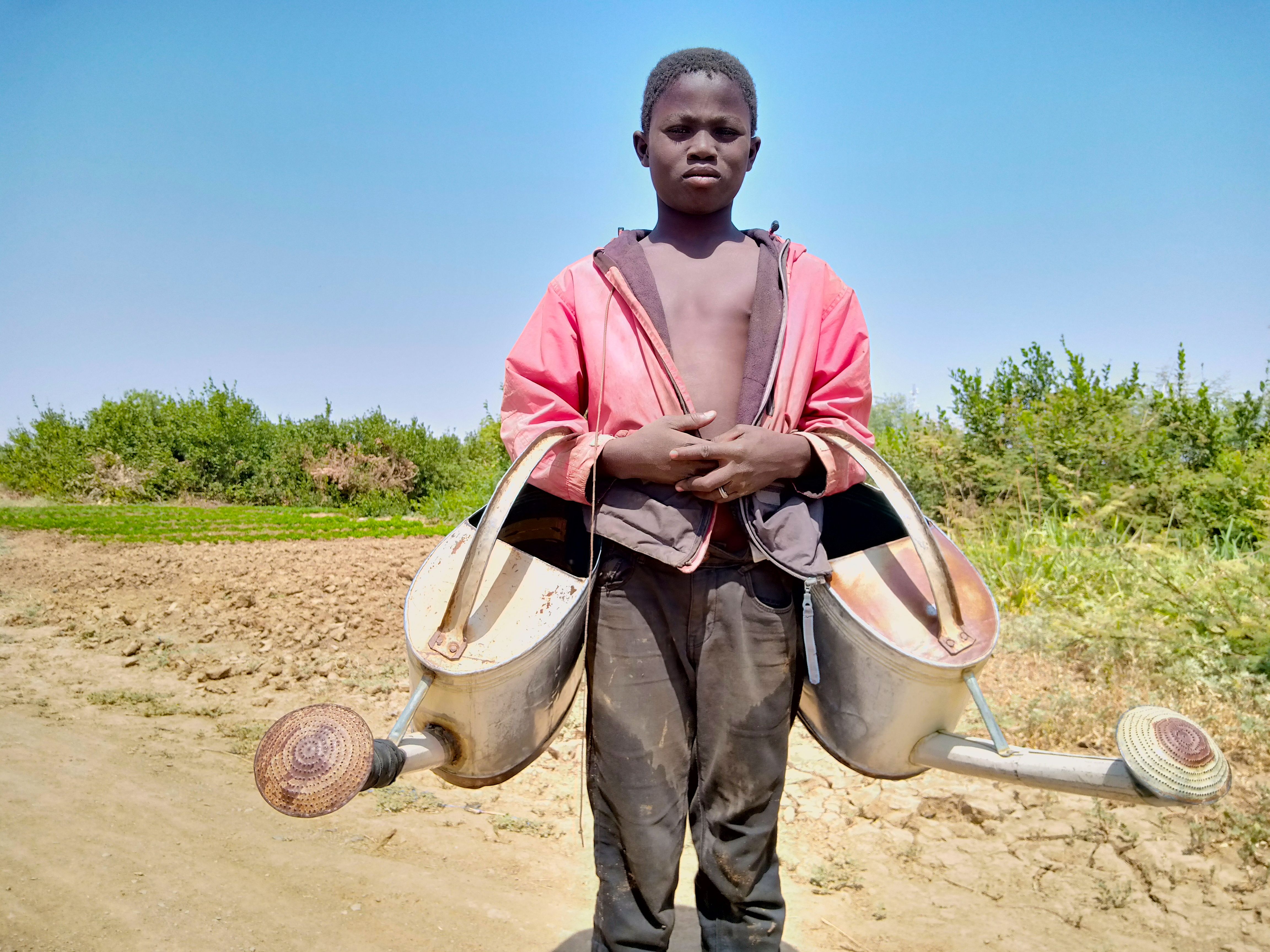 Togo Land Photos, Download The BEST Free Togo Land Stock Photos & HD Images