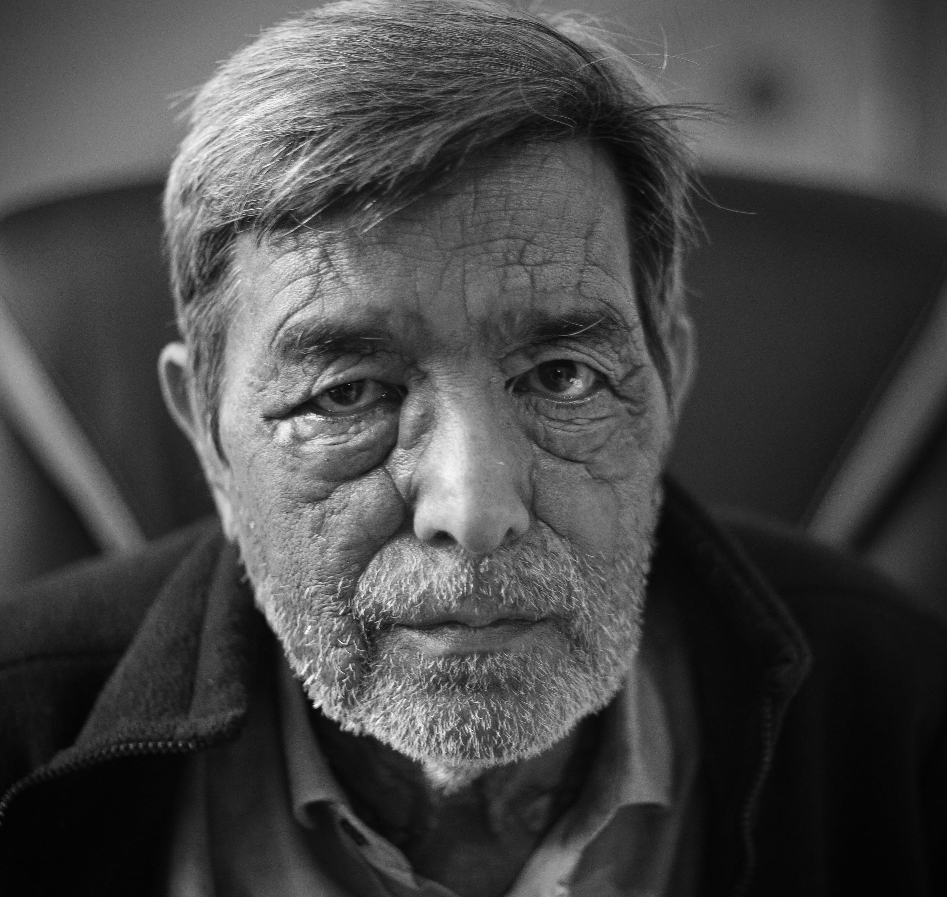 Grey Potrait Photos, Download The BEST Free Grey Potrait Stock Photos ...