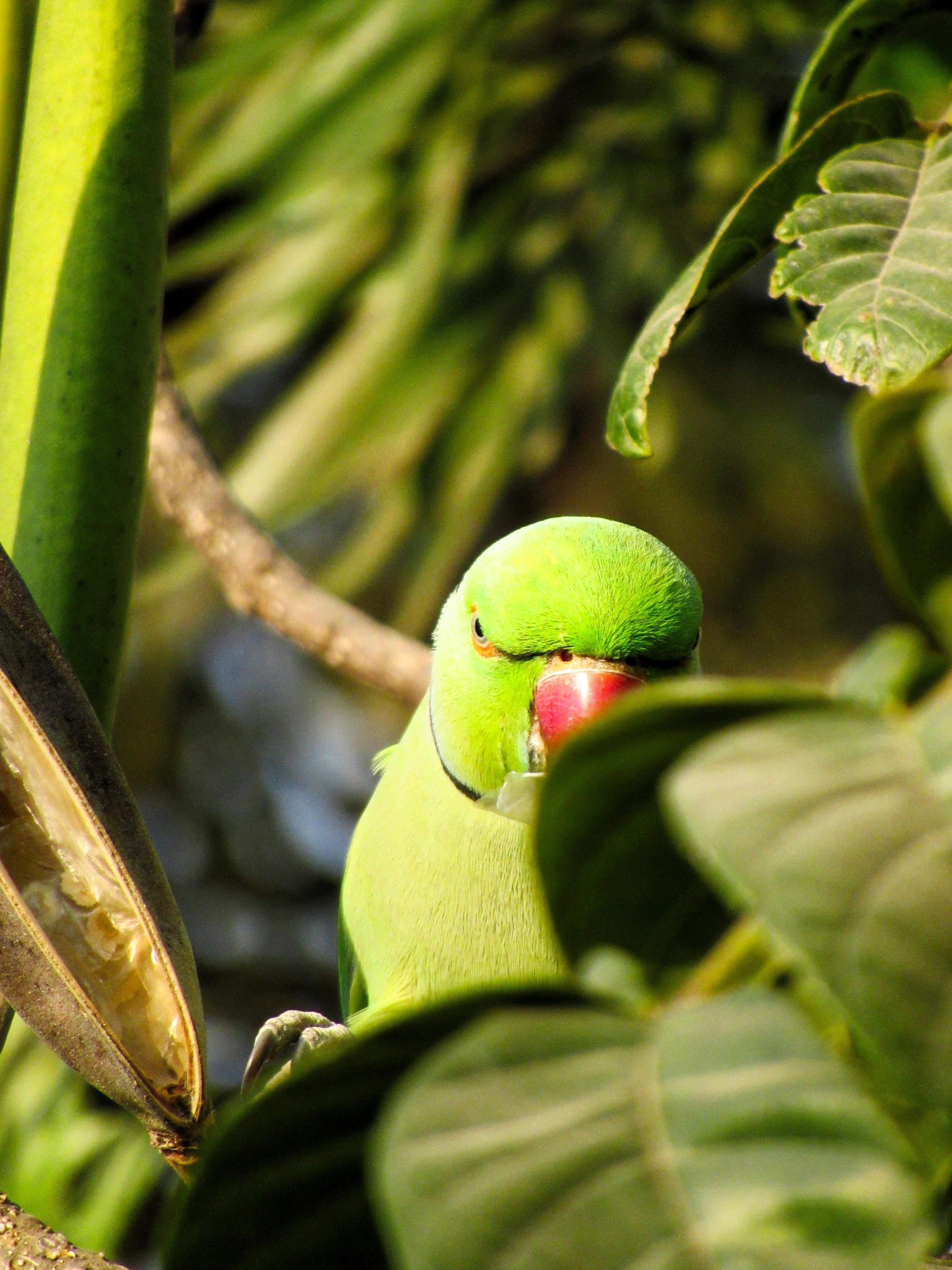 Kenneth Christopher - 摄影