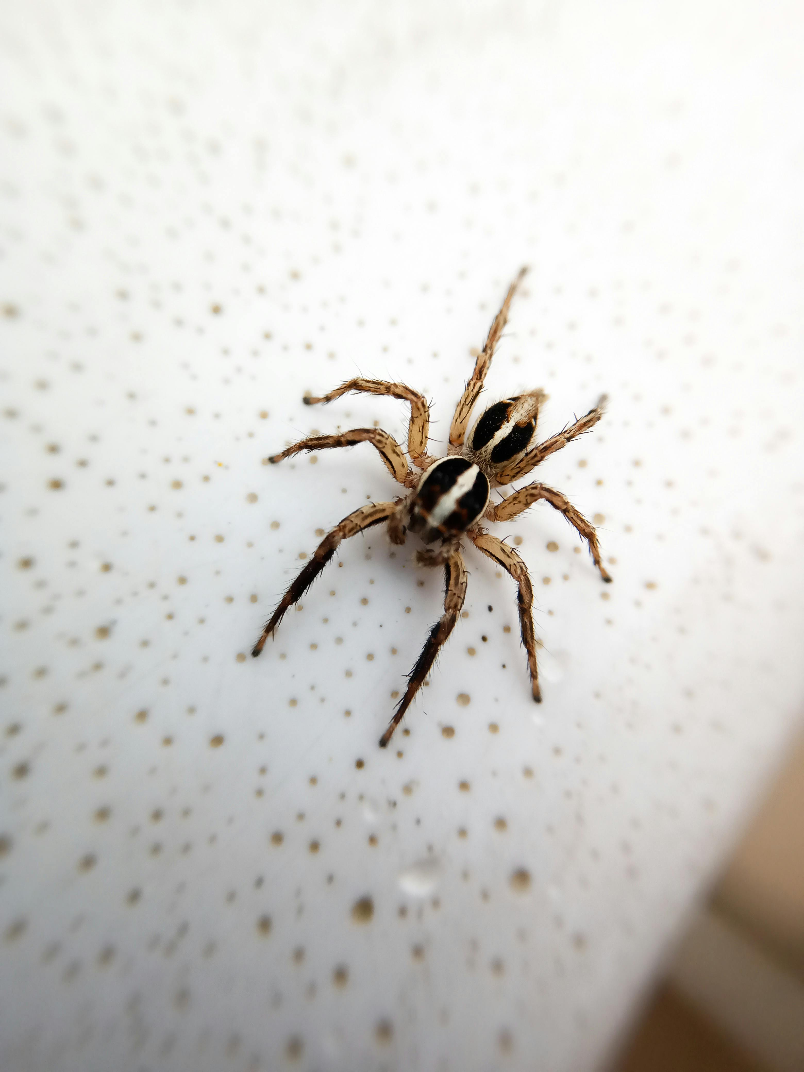 Rahul Anand - Photography