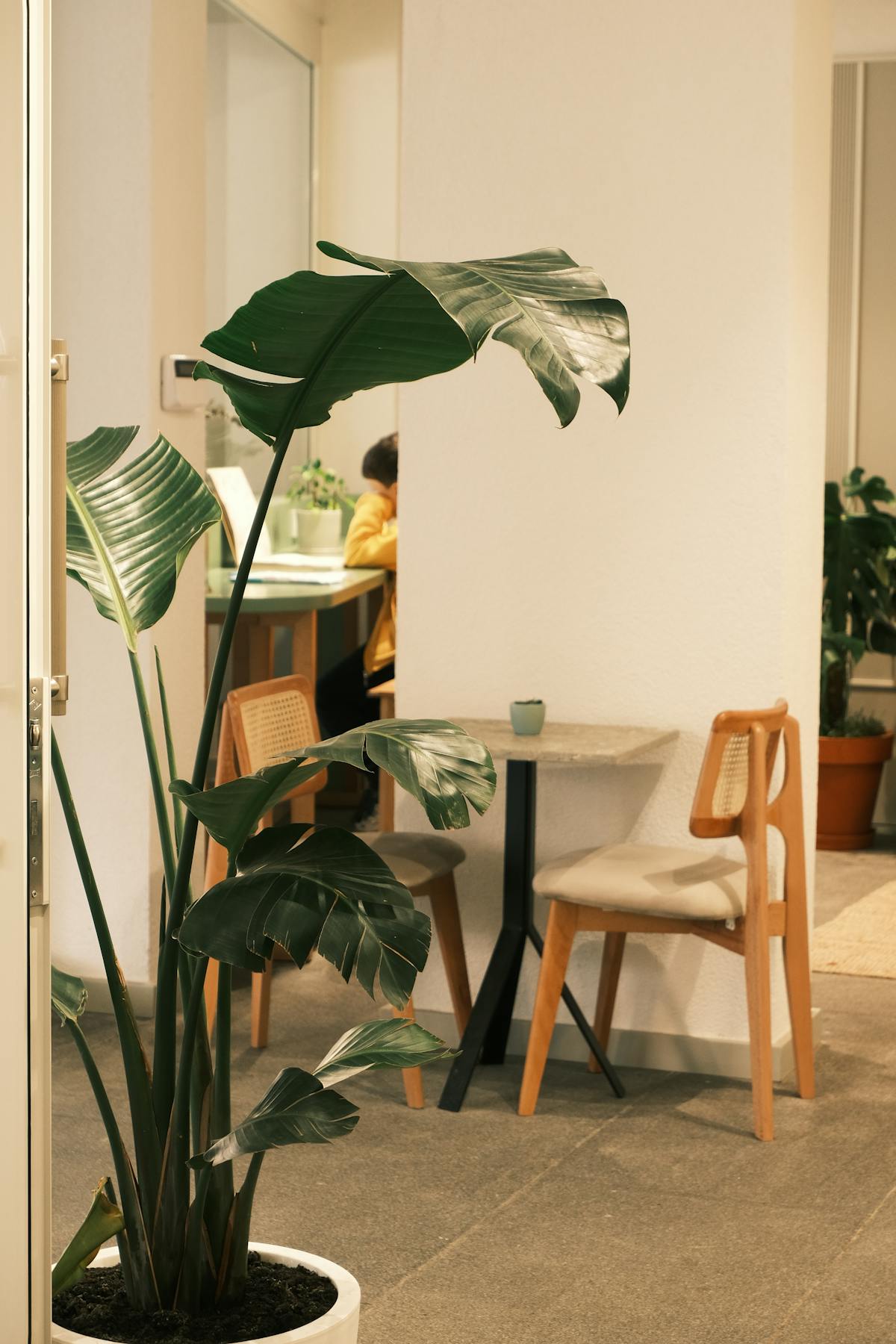 Egyptian Cafe Photos, Download The BEST Free Egyptian Cafe Stock Photos ...