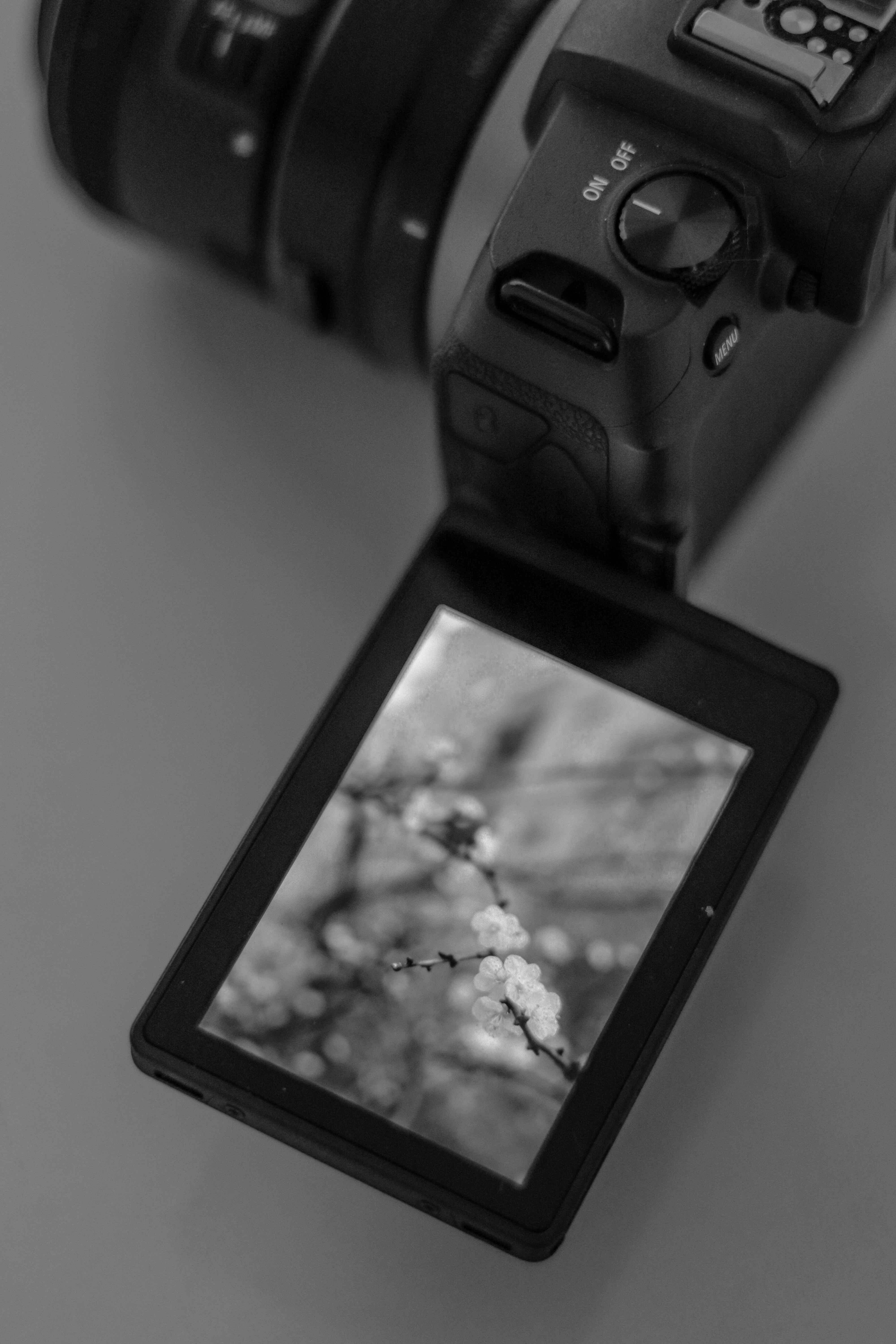 Screen of Digital Camera · Free Stock Photo