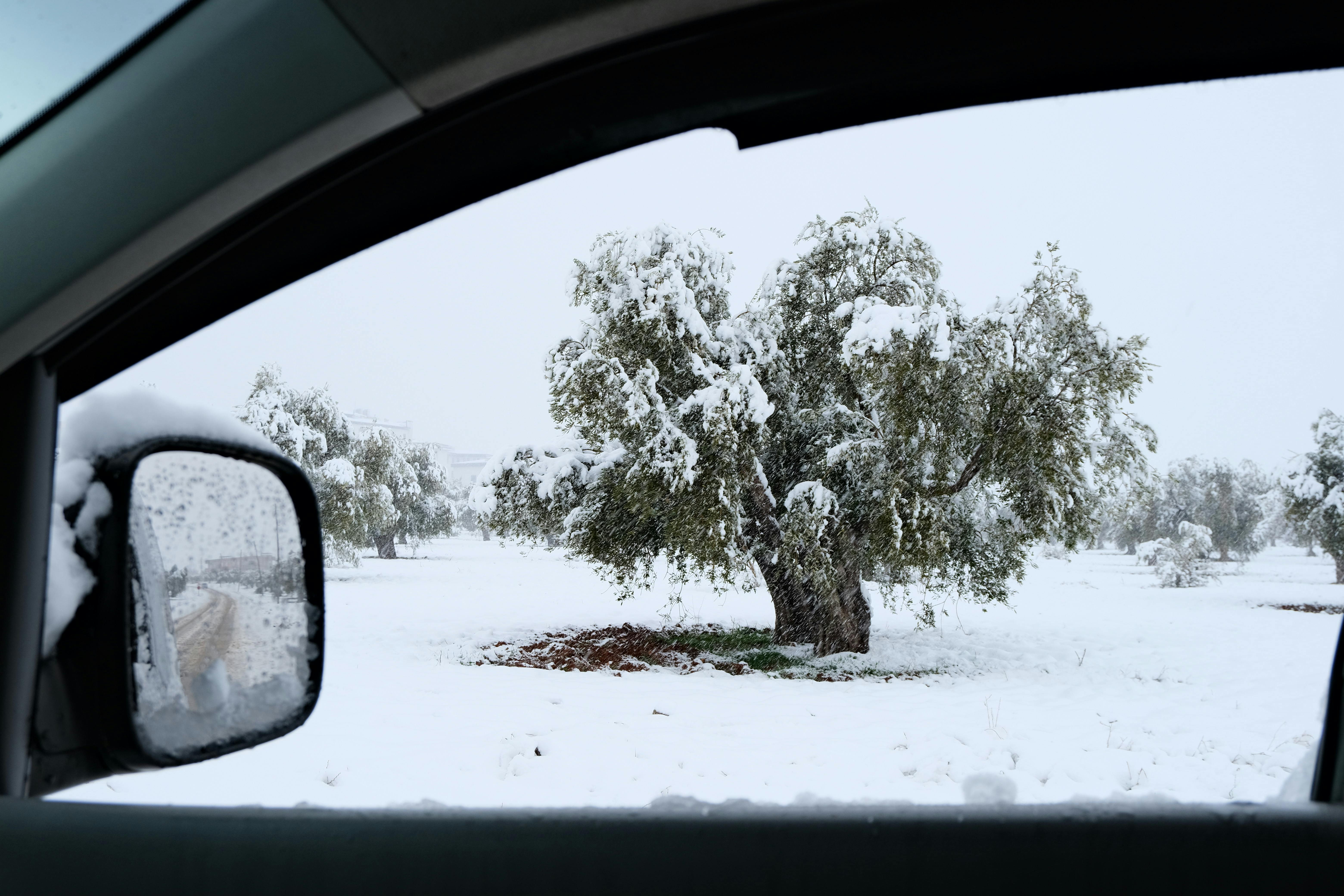 Frozen rearview mirror of the car · Free Stock Photo