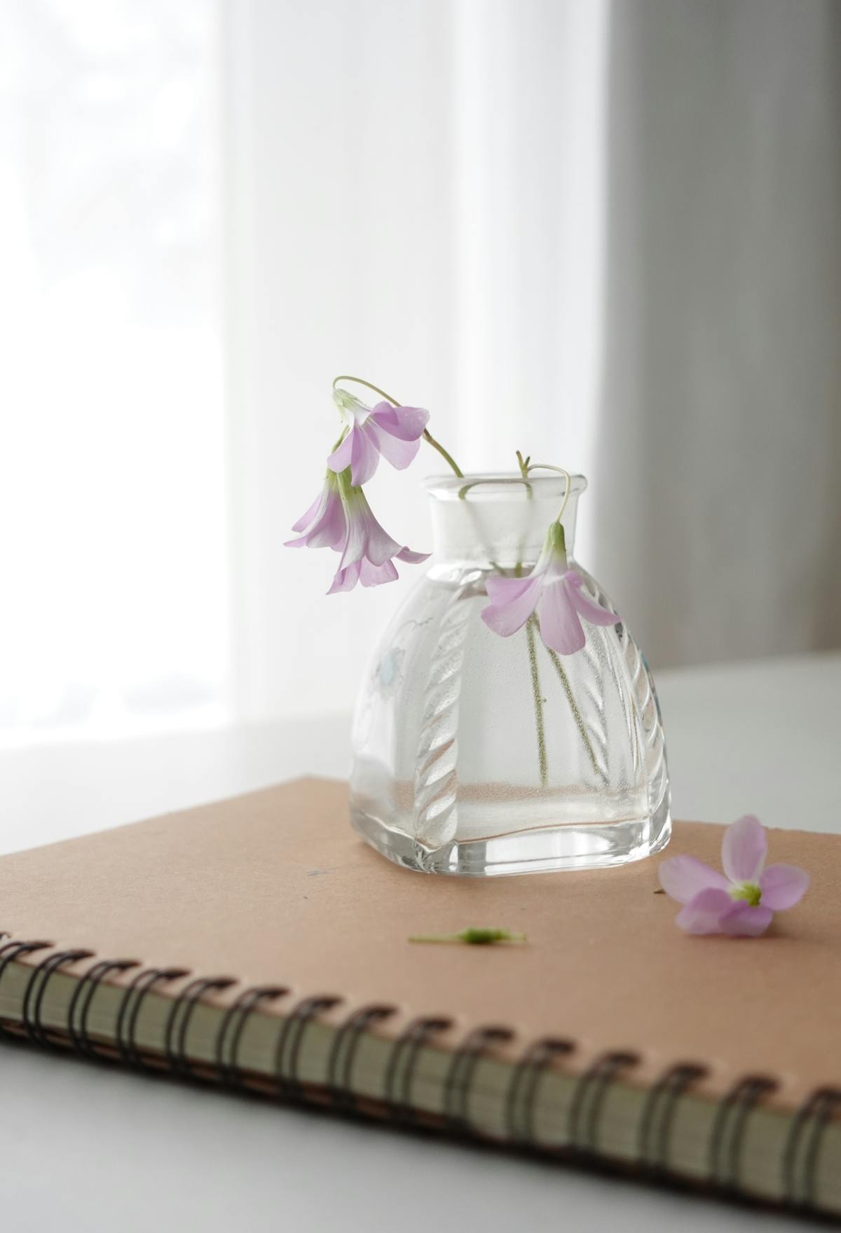 Notebook And Flowers Photos, Download The BEST Free Notebook And ...