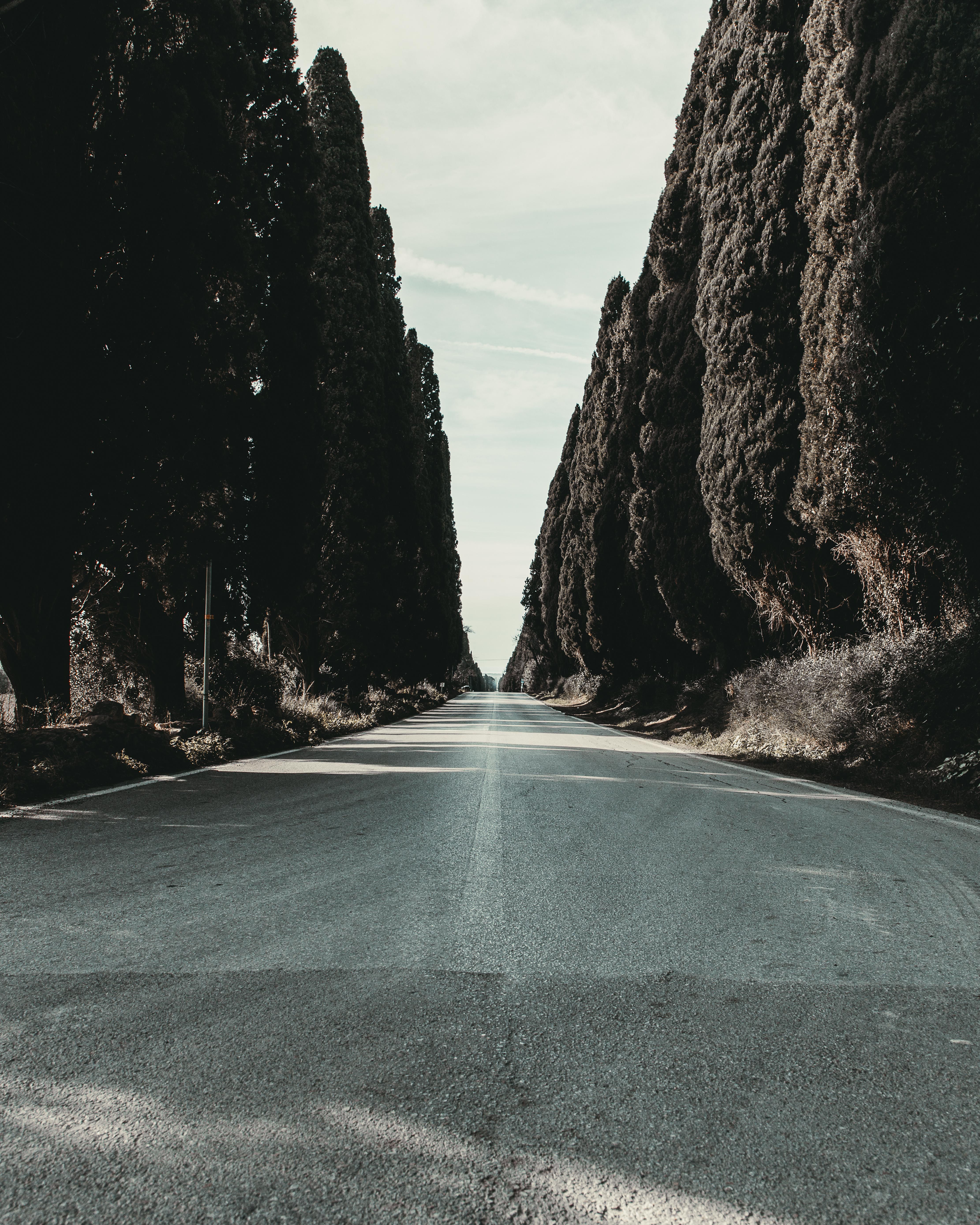 Road among Rocks · Free Stock Photo