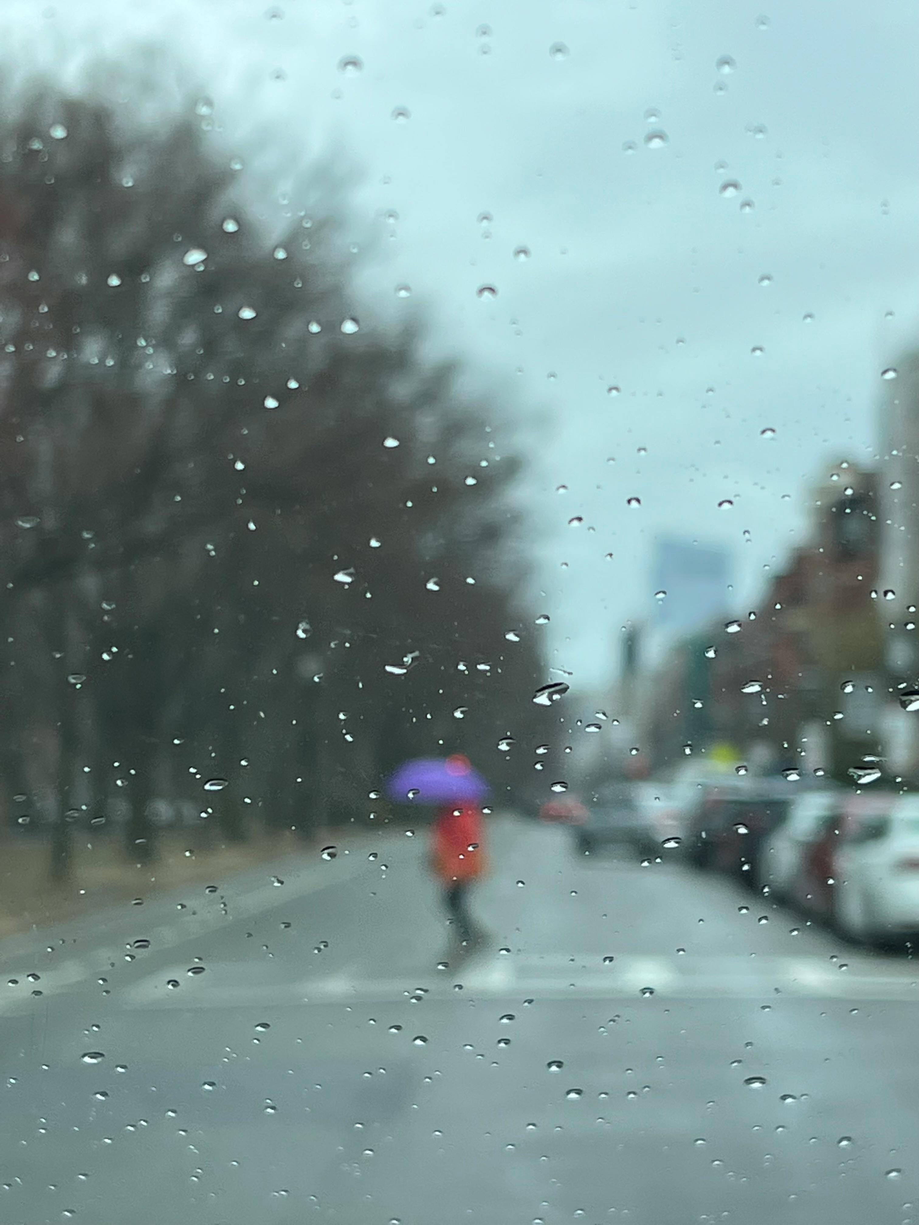 Rain Drops on Car Window · Free Stock Photo