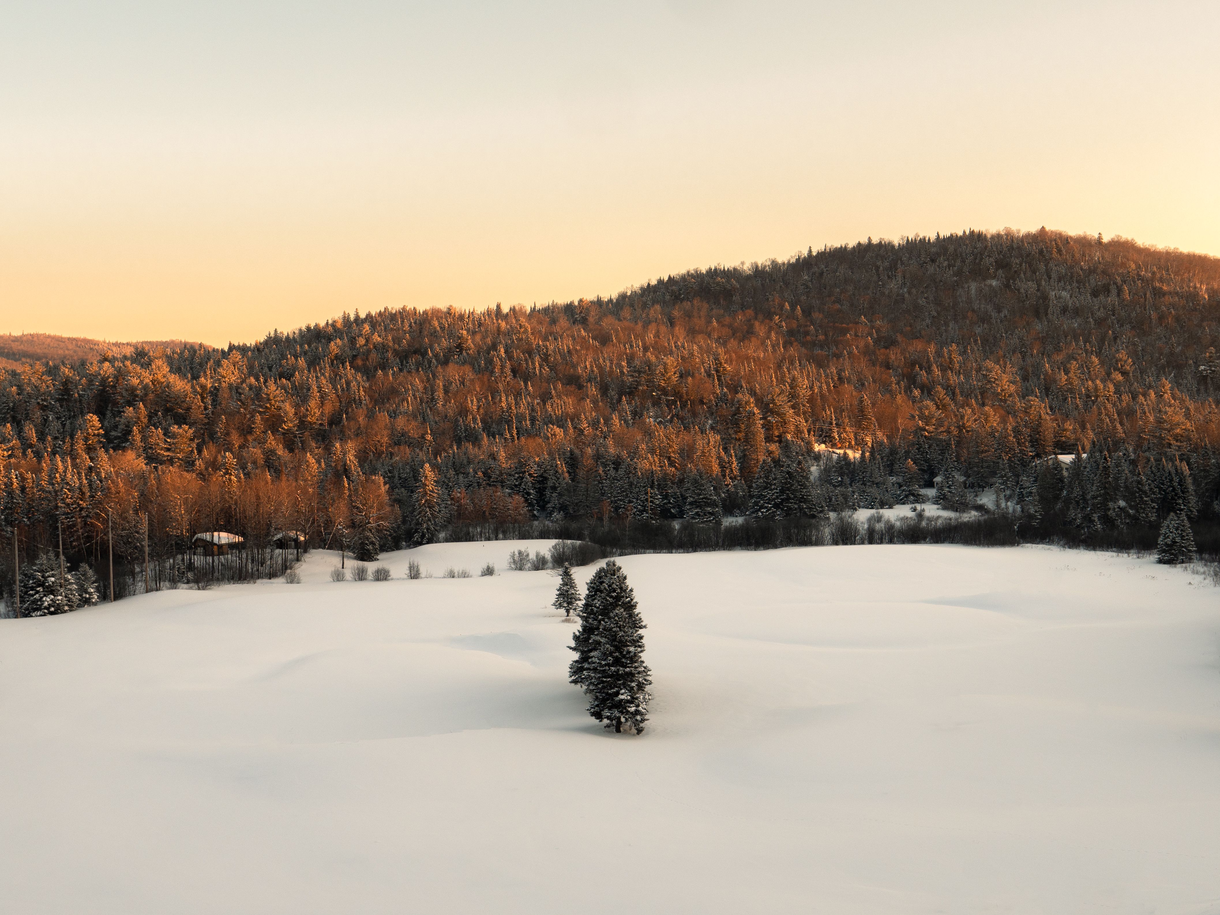 Quebec Nature Photos, Download The BEST Free Quebec Nature Stock Photos ...