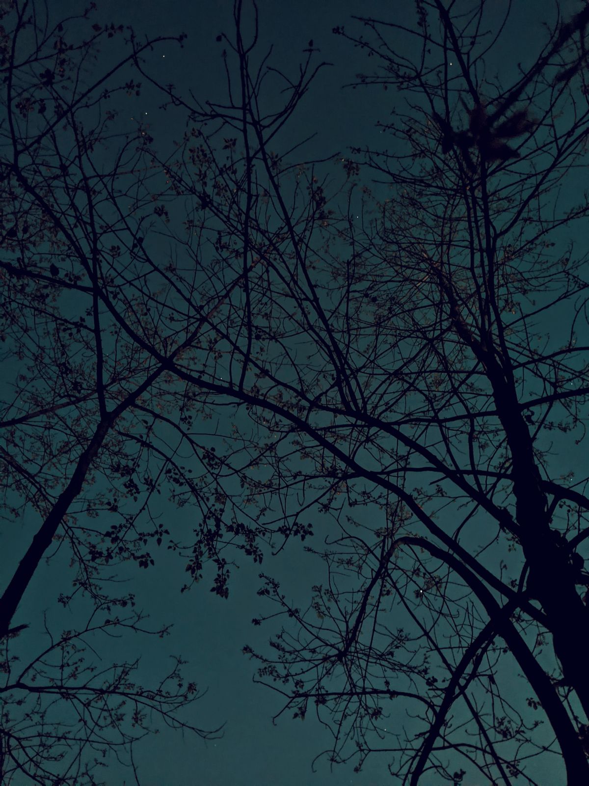 Sky Night Aura Photos, Download The BEST Free Sky Night Aura Stock ...
