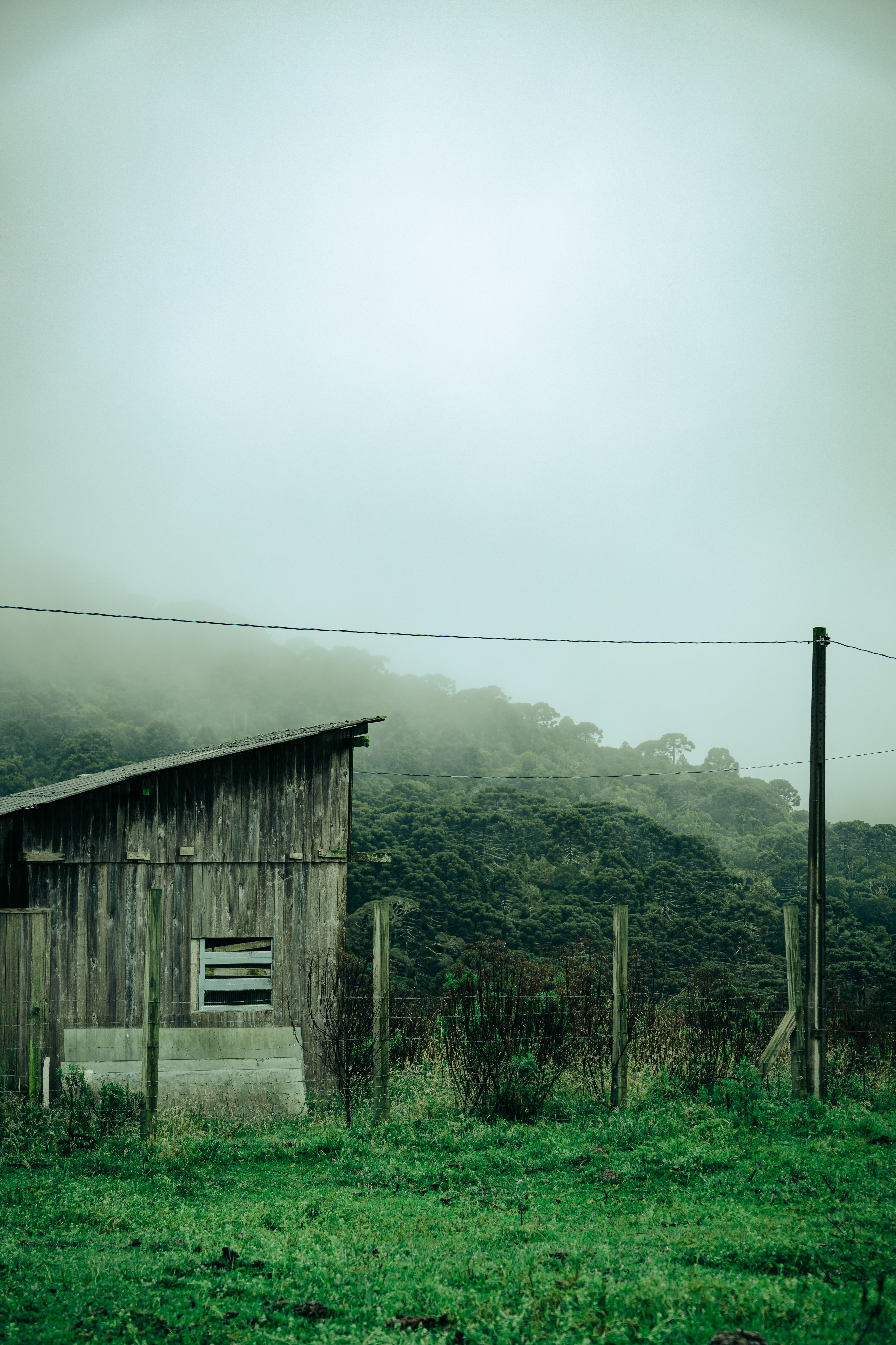 Wooden Hut in Countryside on Foggy Day · Free Stock Photo