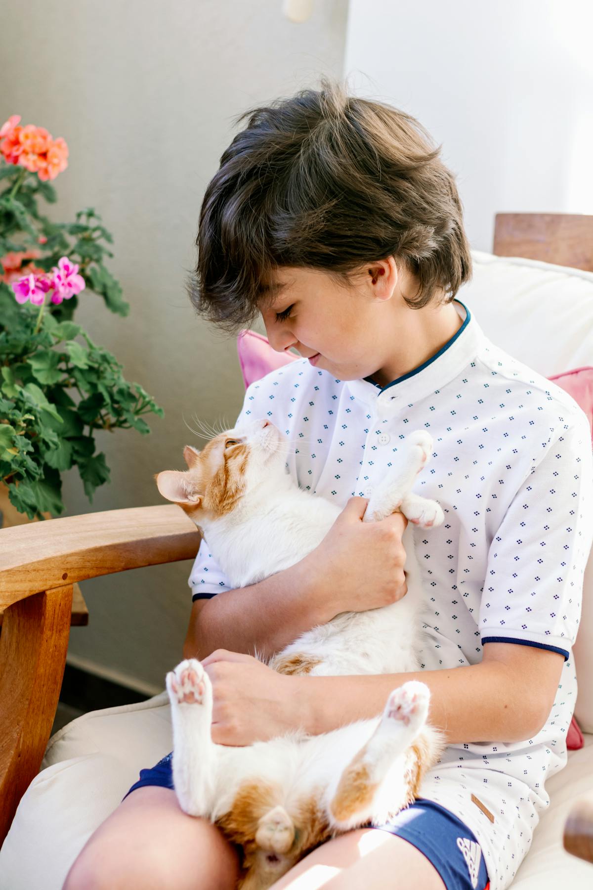 Cat And Boy Photos, Download The BEST Free Cat And Boy Stock Photos ...