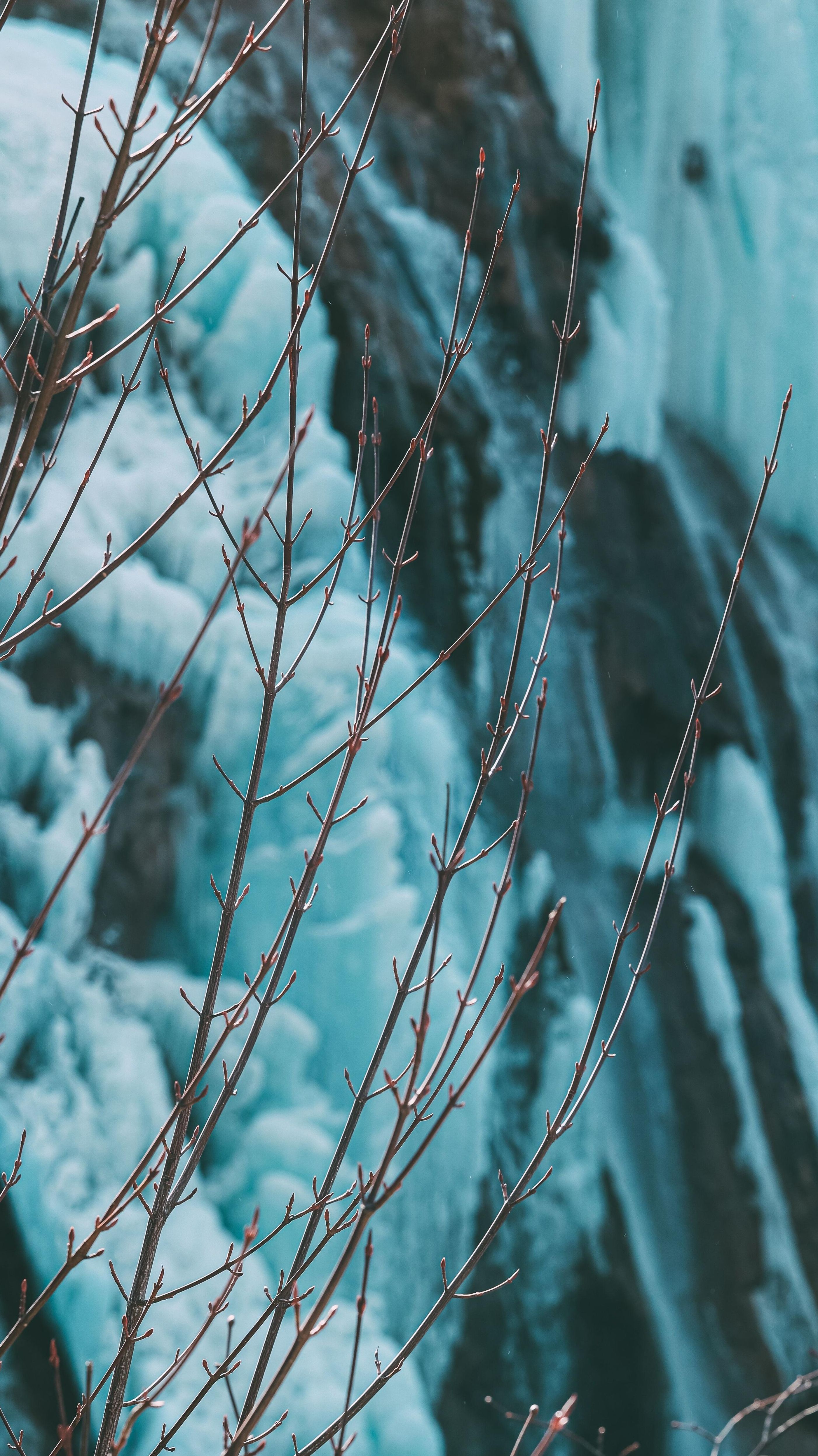 Close-up on Ice Crystals Forming on Rock · Free Stock Photo