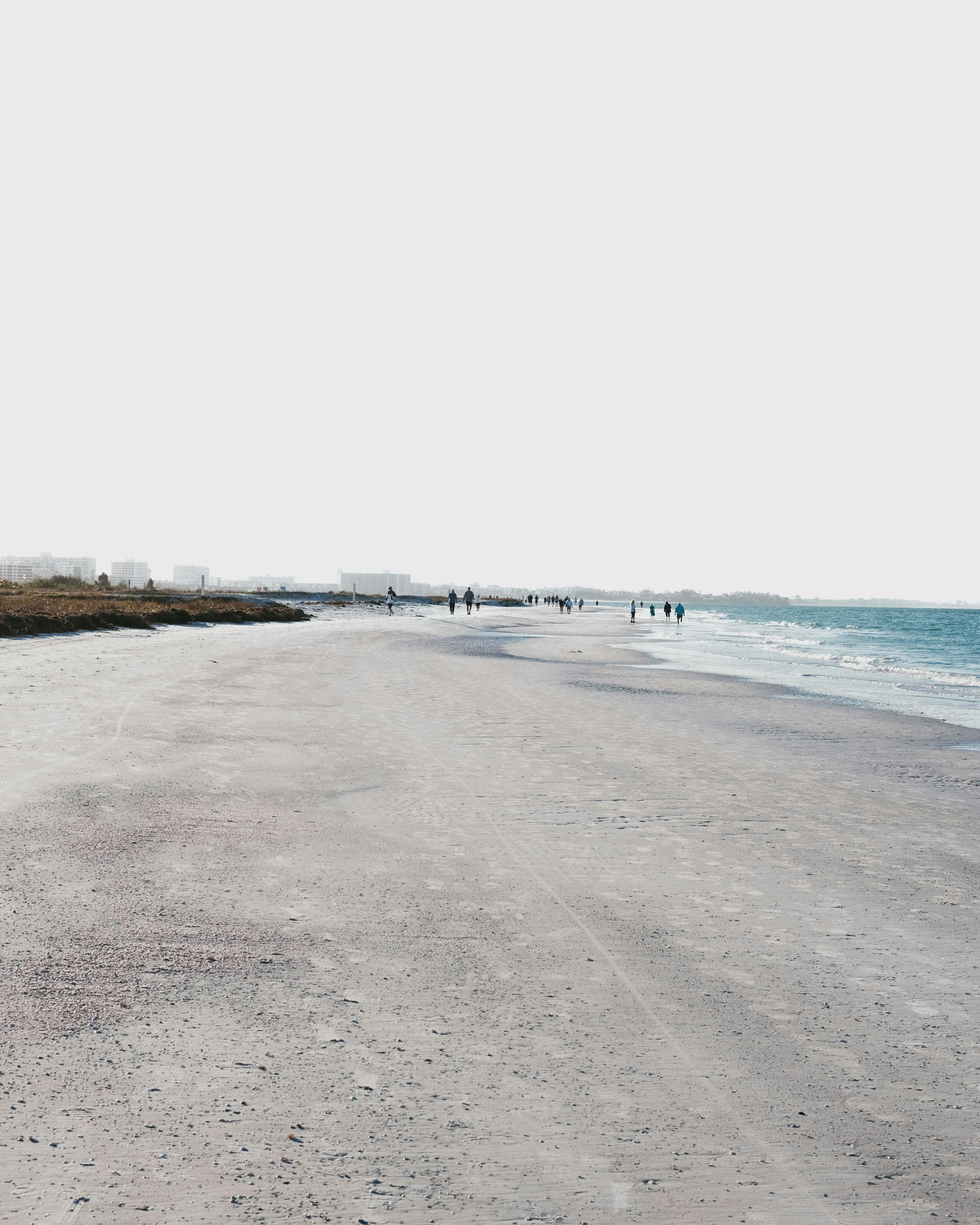 Overhead Shot of a Beach with Sea Foam · Free Stock Photo