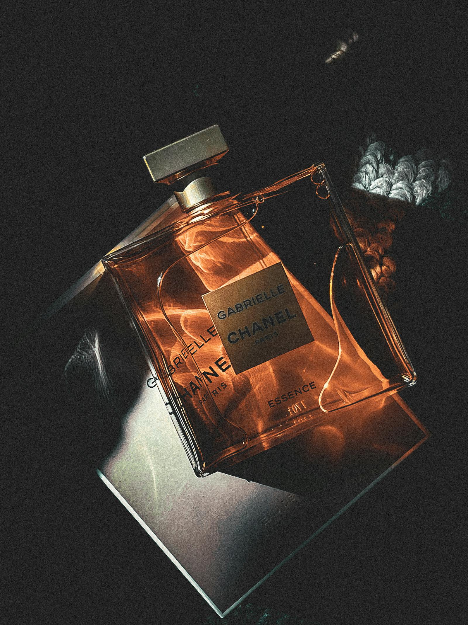 Ts Ari Chanel Photos, Download The BEST Free Ts Ari Chanel Stock Photos ...