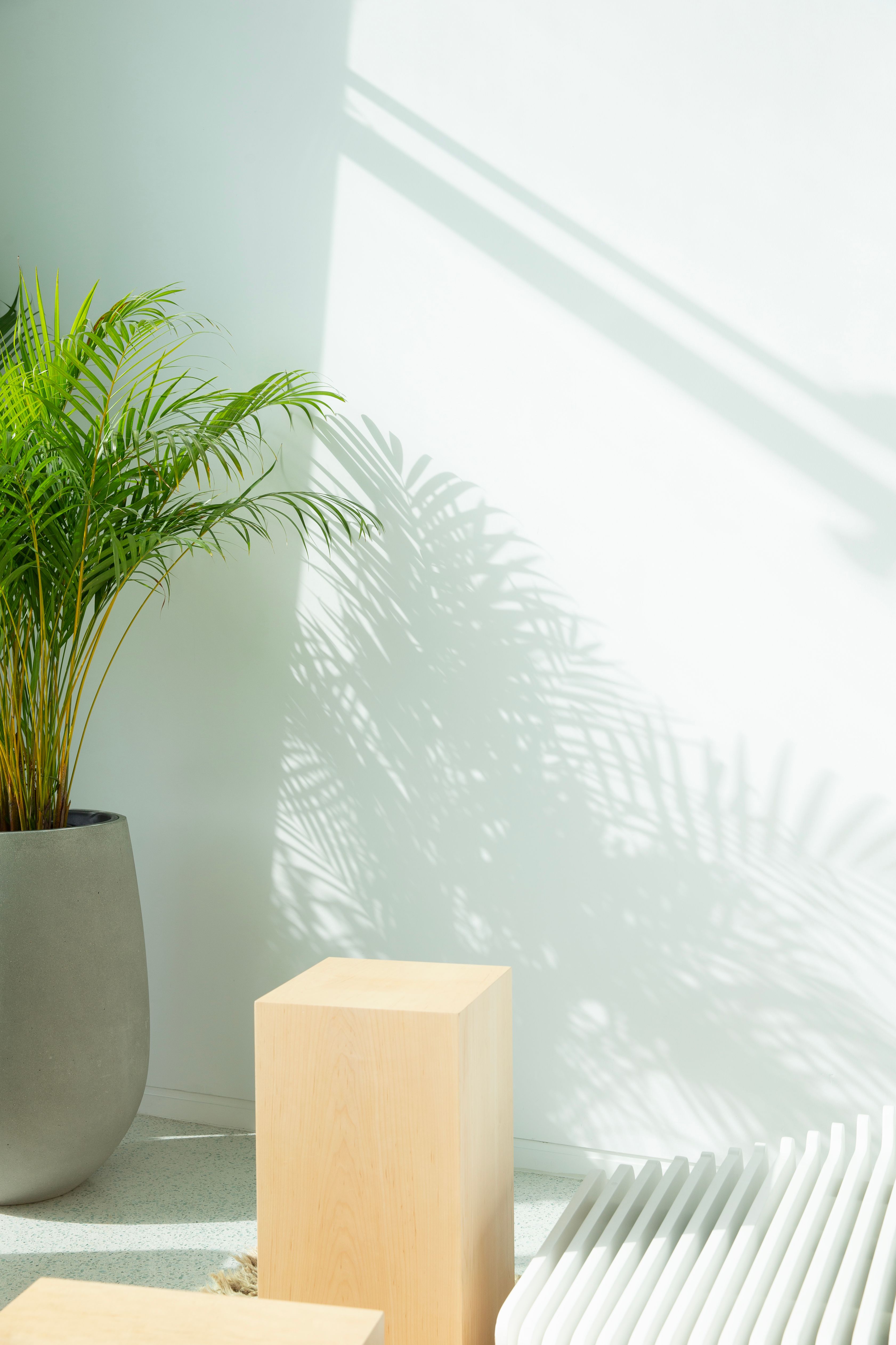 Karachi Pot Photos, Download The BEST Free Karachi Pot Stock Photos ...
