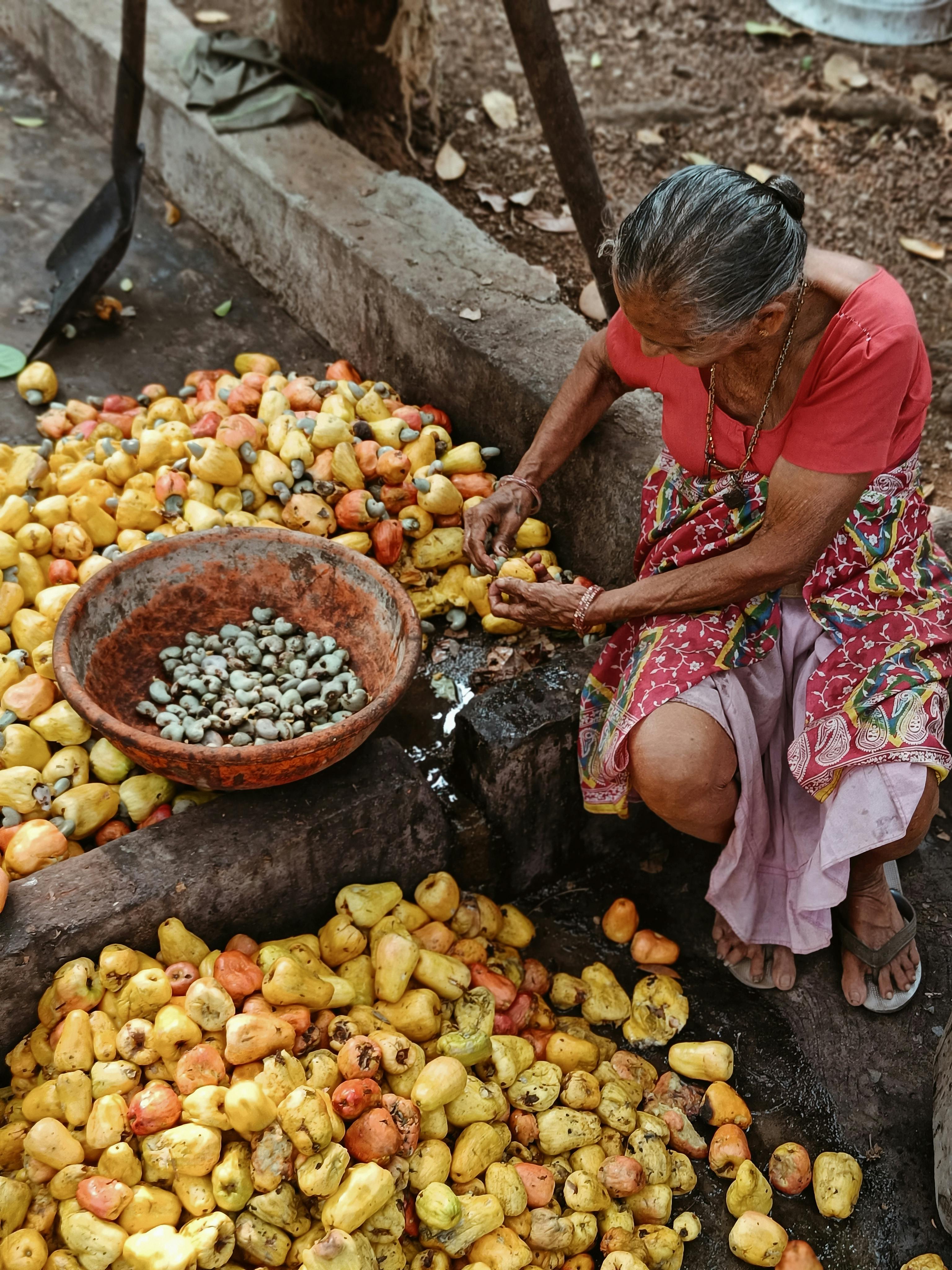 Woman Husking Seedcases of Red Spotted Bean · Free Stock Photo