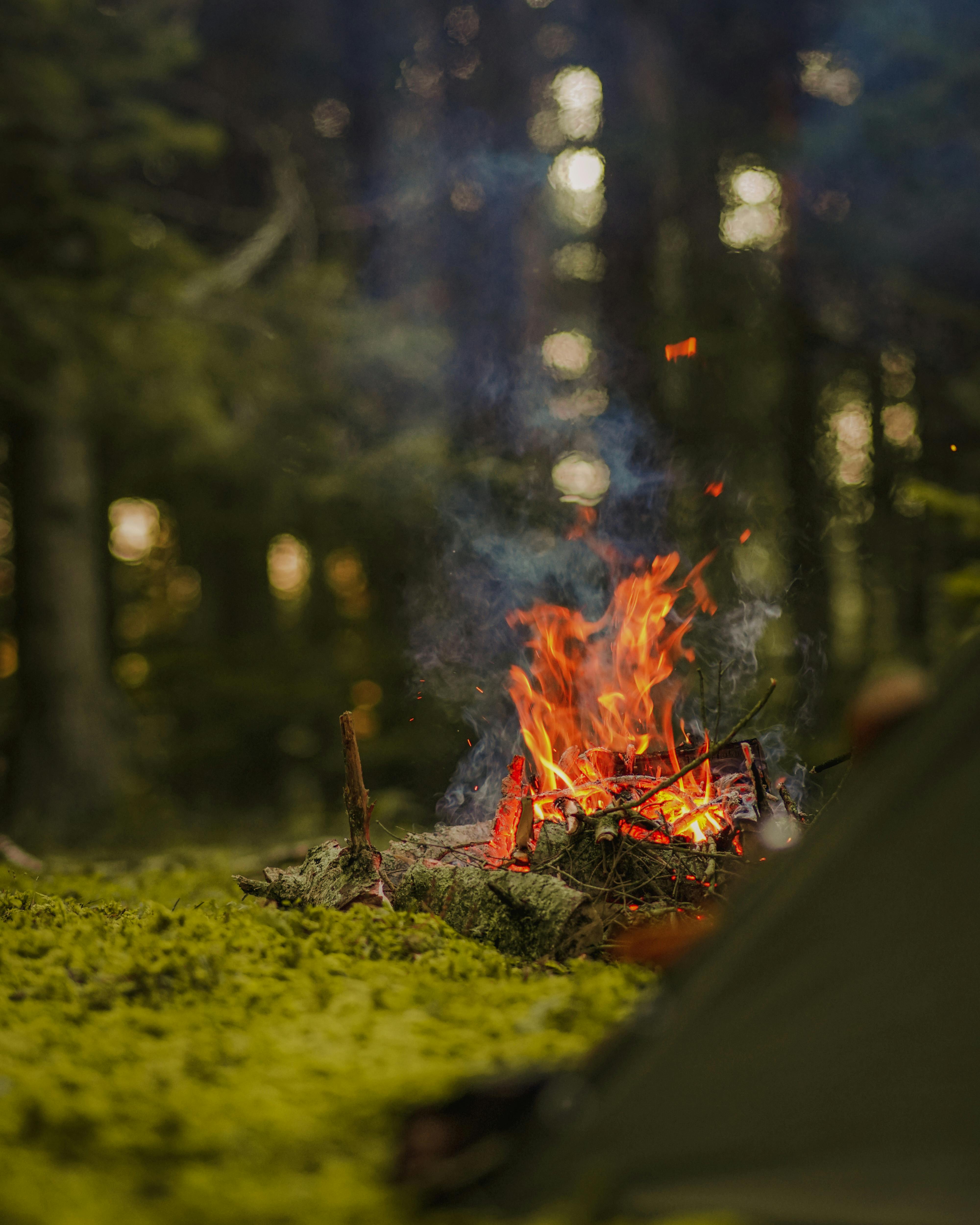 Survival Gear Photos, Download The BEST Free Survival Gear Stock Photos ...