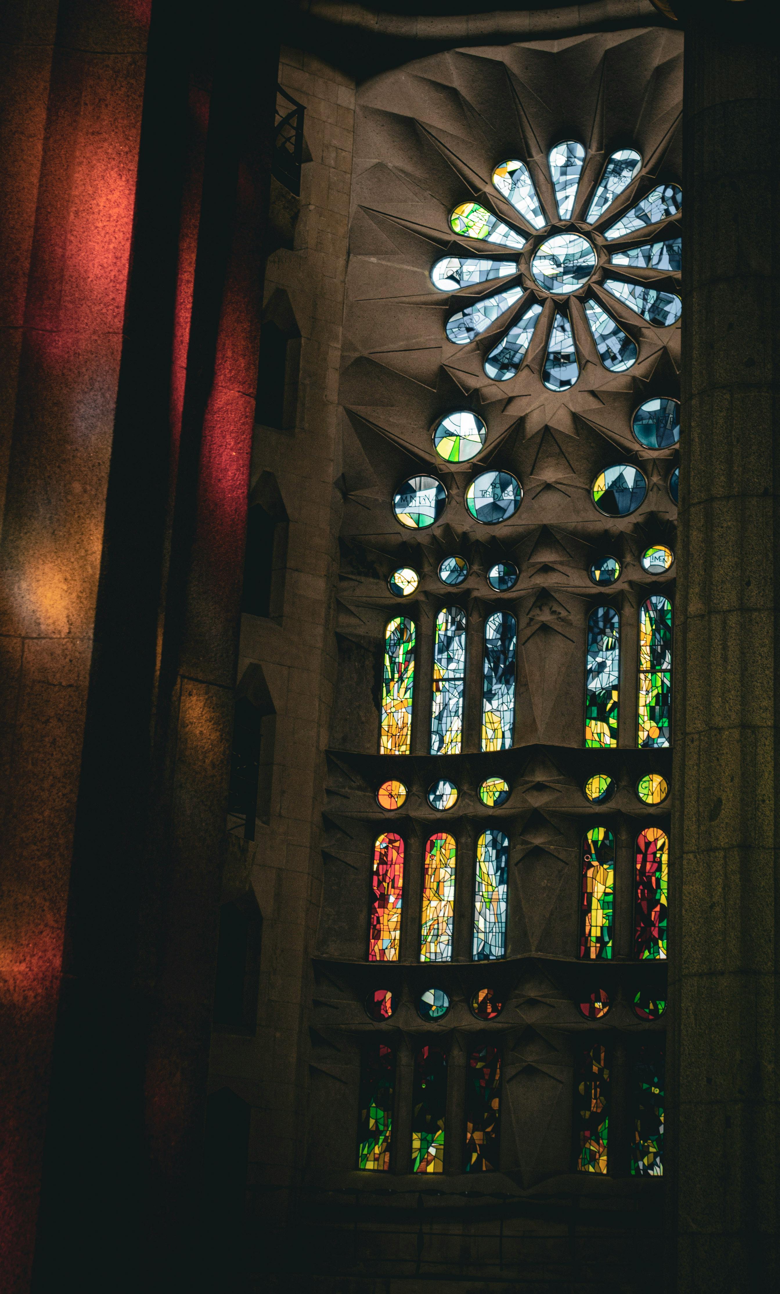 George Cristea - 사진