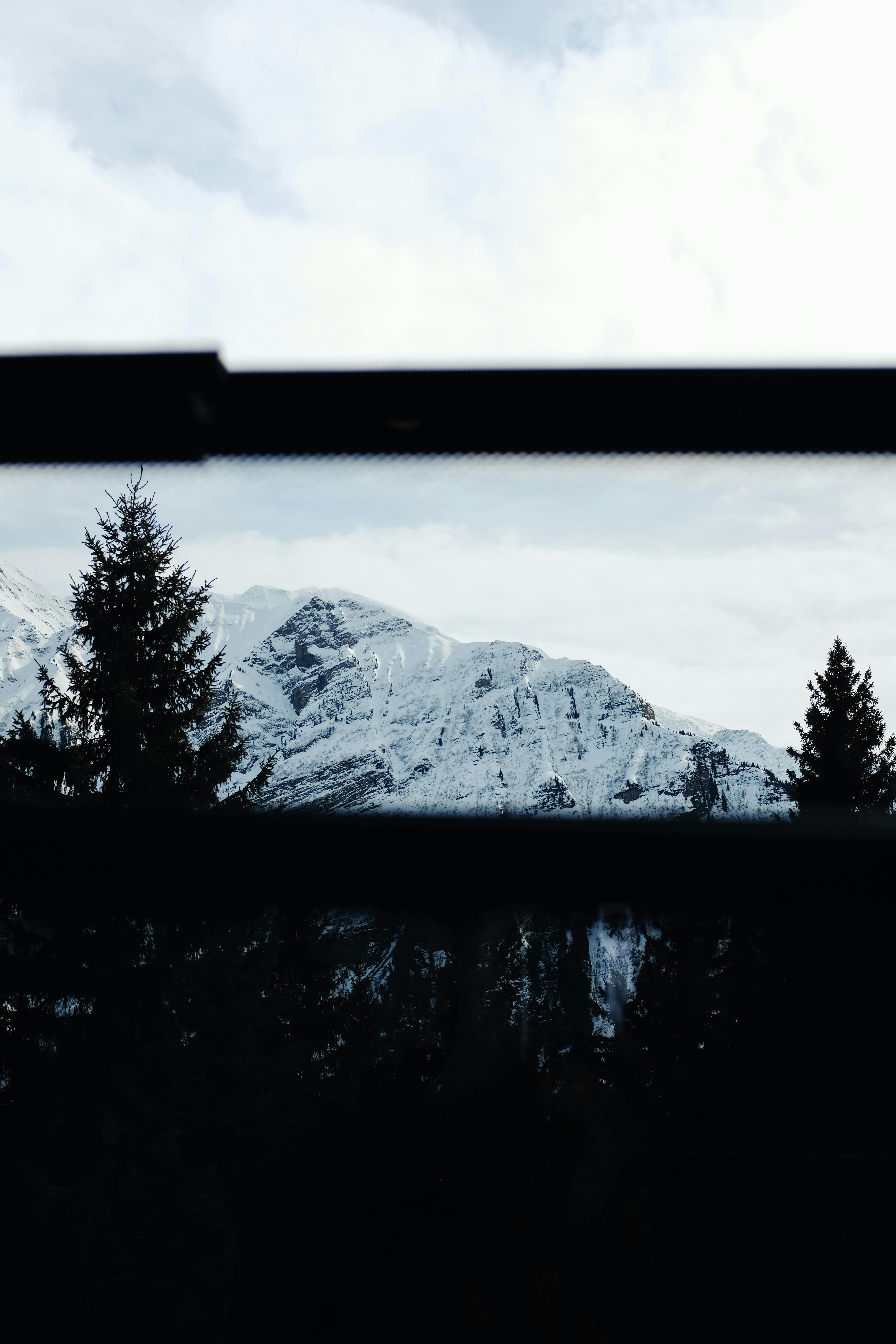 Trees in Snow behind Window · Free Stock Photo