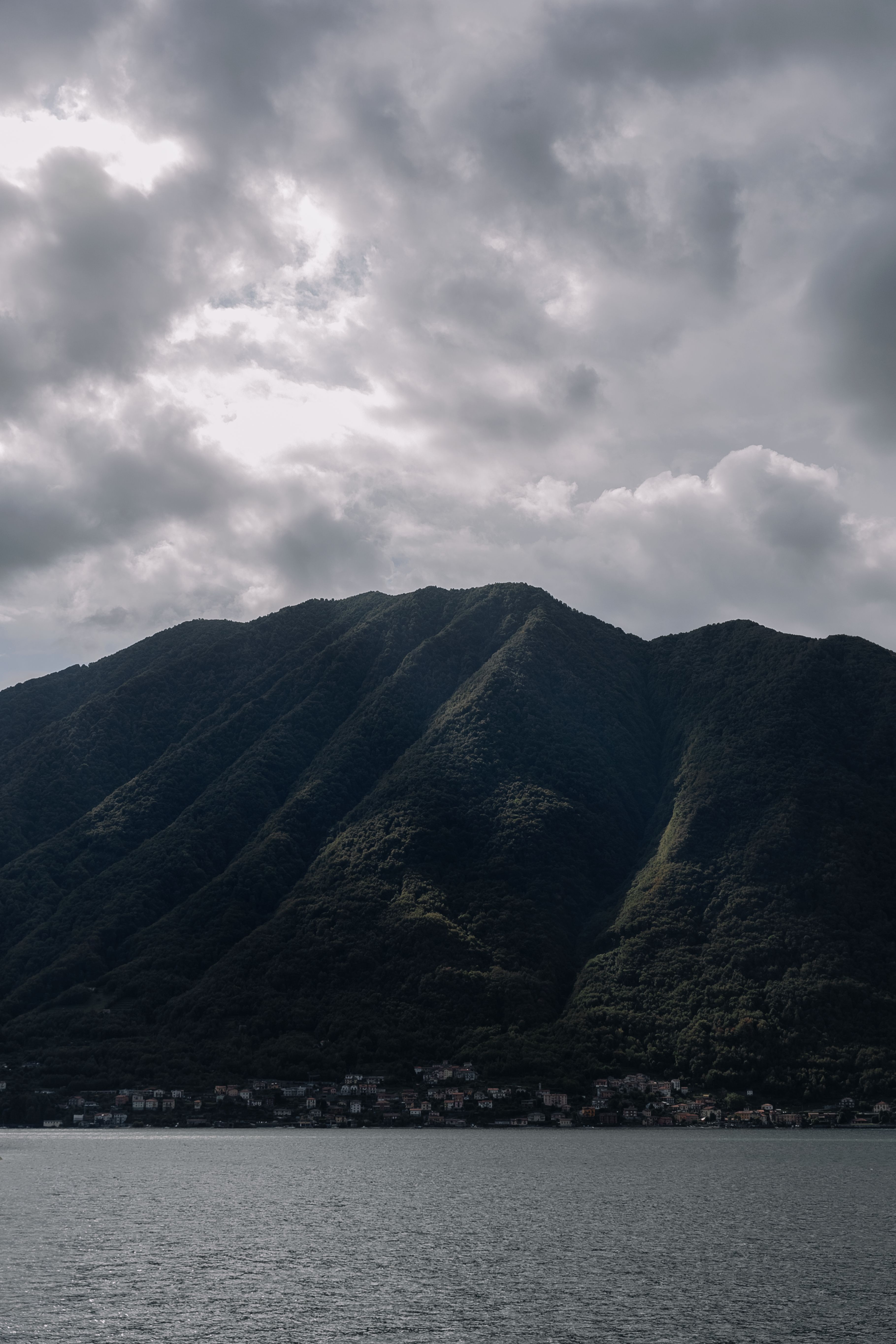 Overcast Forest Photos, Download The BEST Free Overcast Forest Stock ...