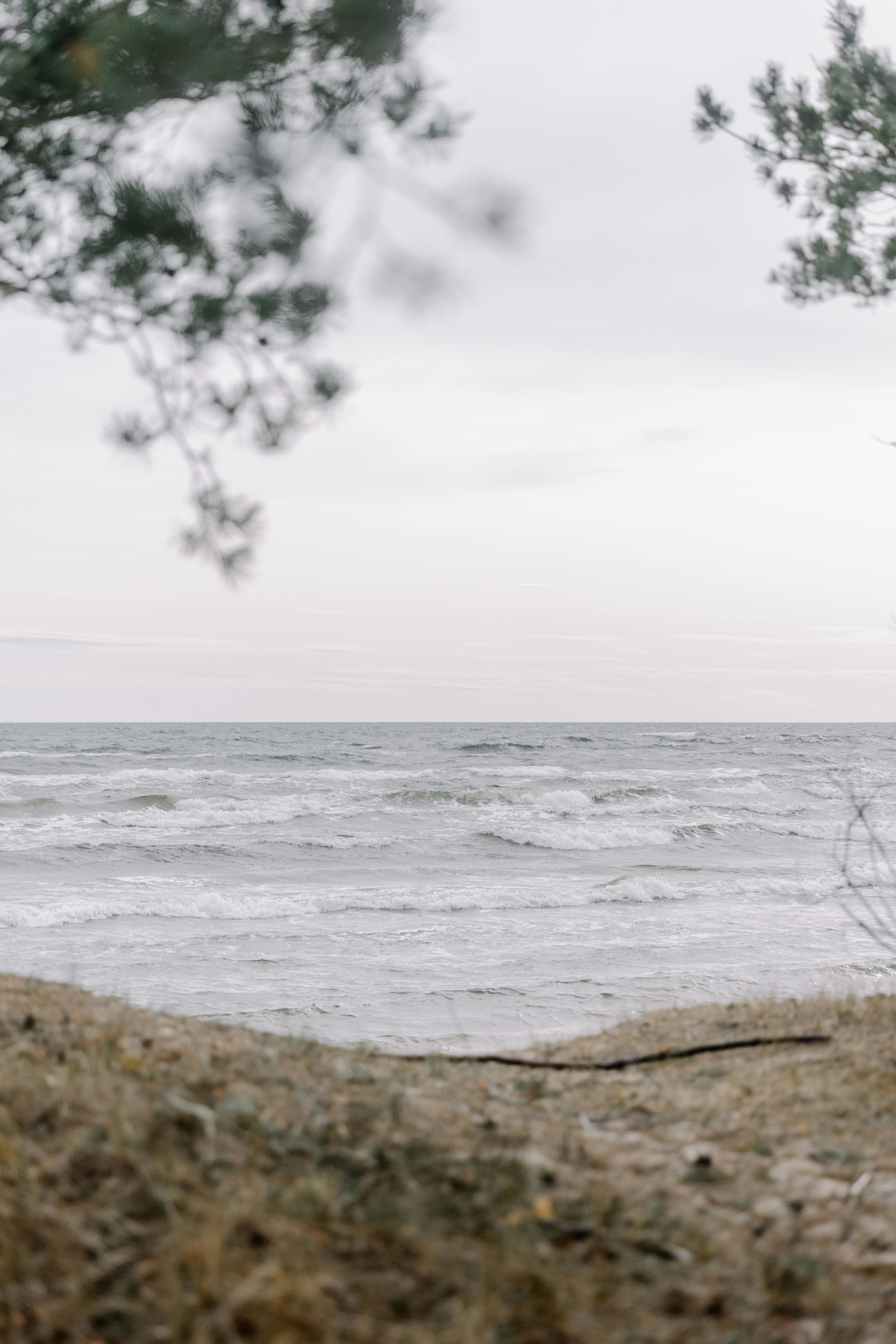 Overcast over Sea Shore · Free Stock Photo