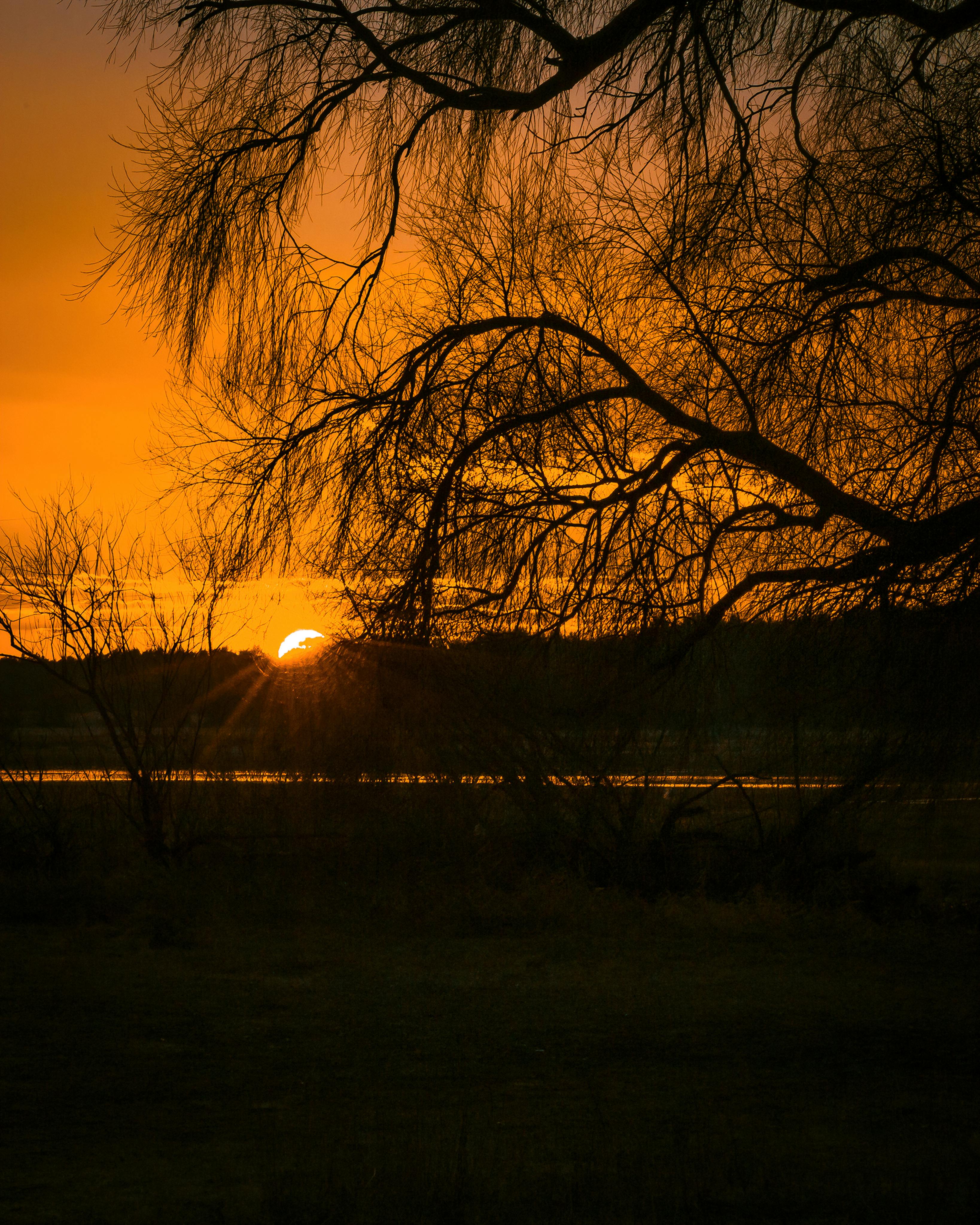 Disappear Photos, Download The BEST Free Disappear Stock Photos & HD Images