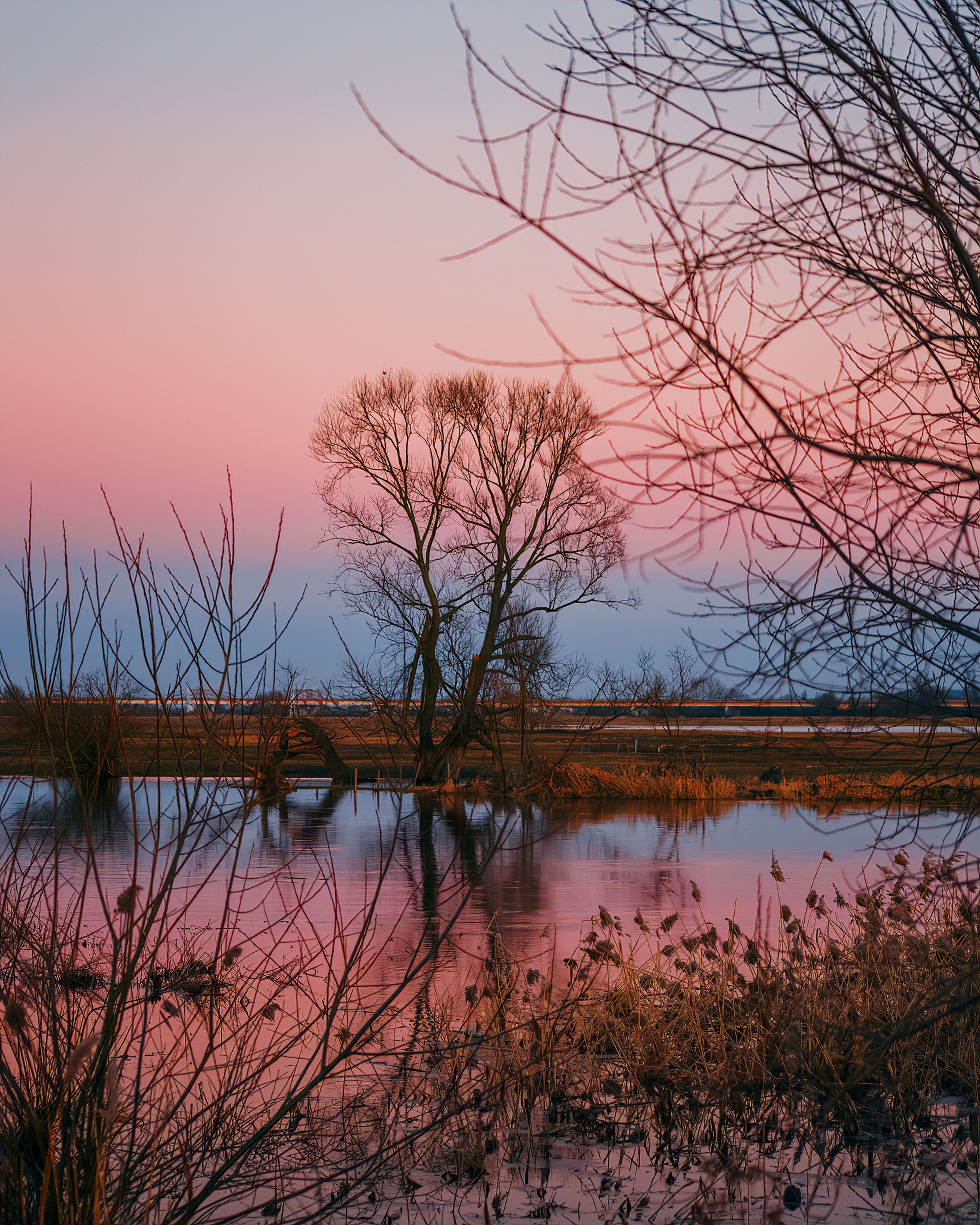 Lake at Dusk · Free Stock Photo