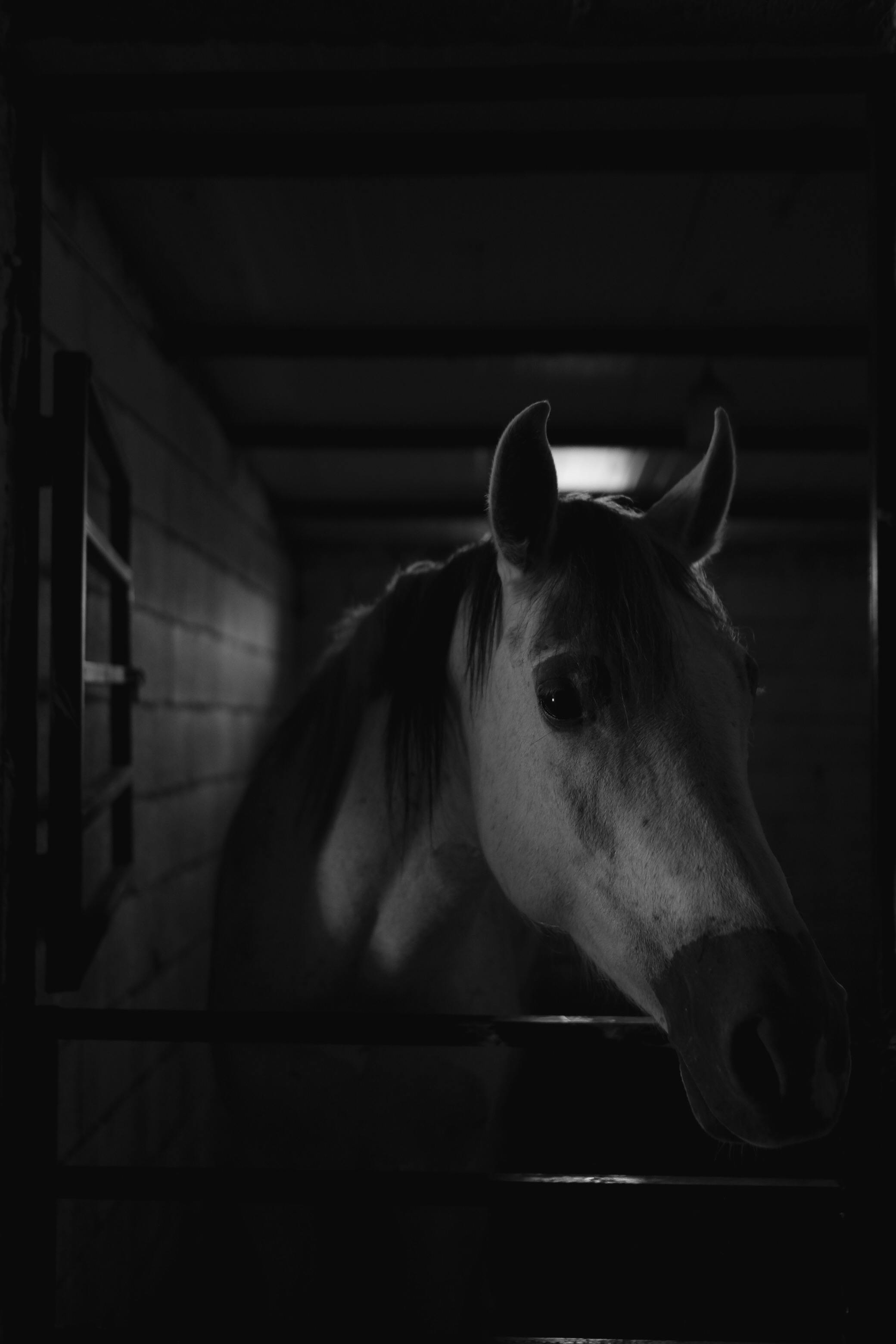 Lite Barn Photos, Download The BEST Free Lite Barn Stock Photos & HD Images