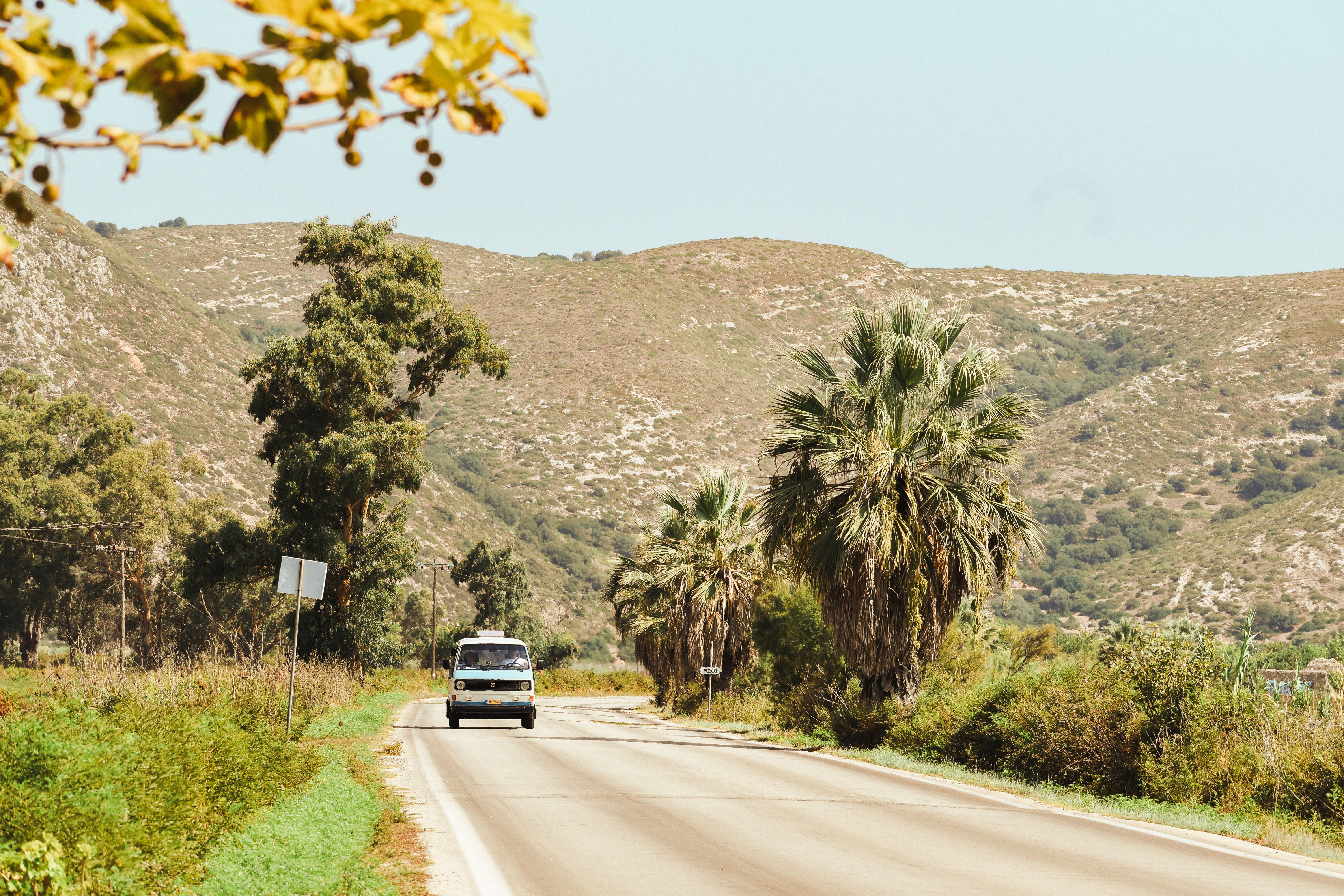 A car driving down a road with palm trees · Free Stock Photo