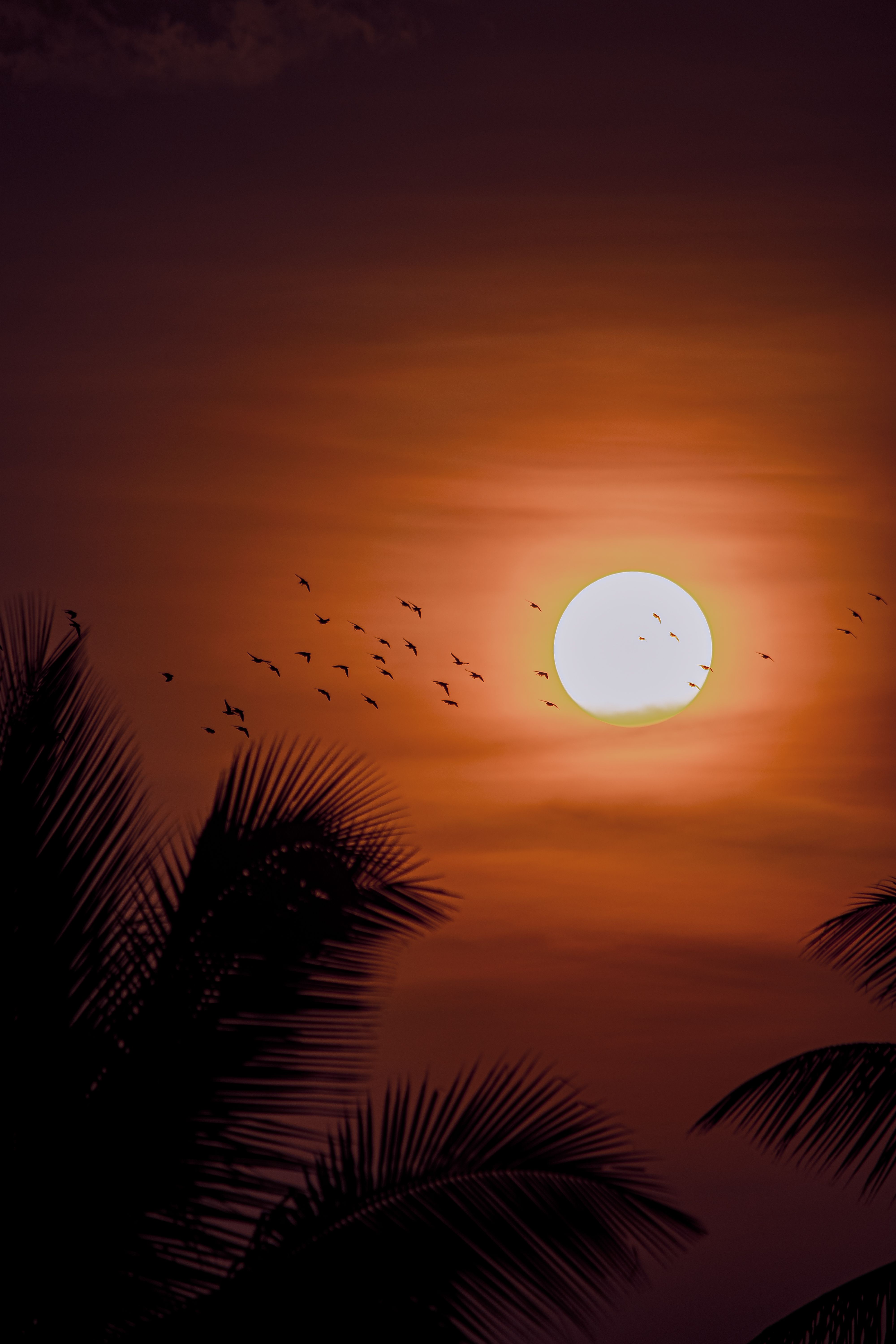 Royal Tropical Instutute Photos, Download The BEST Free Royal Tropical ...