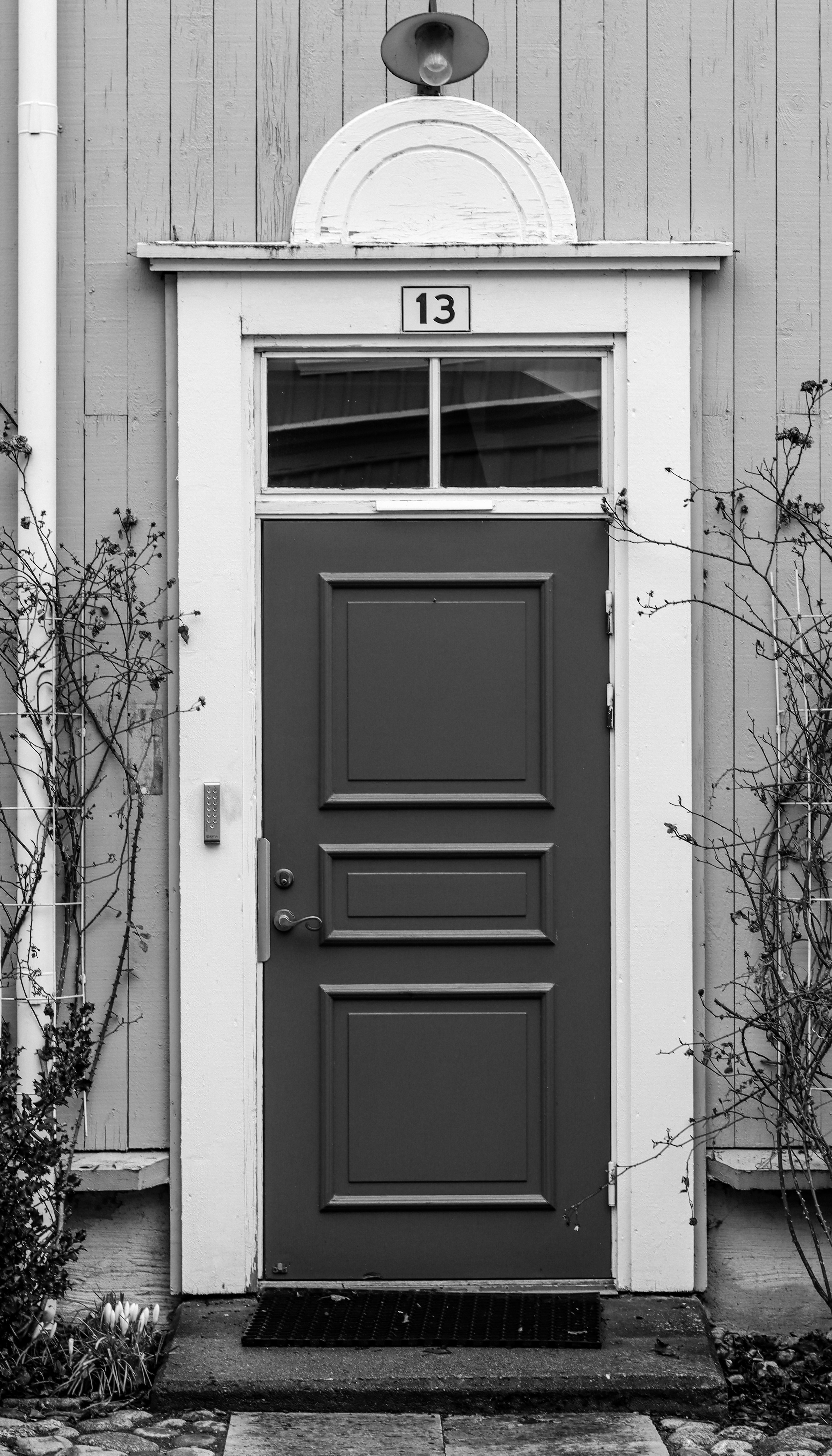 Solid House Door · Free Stock Photo