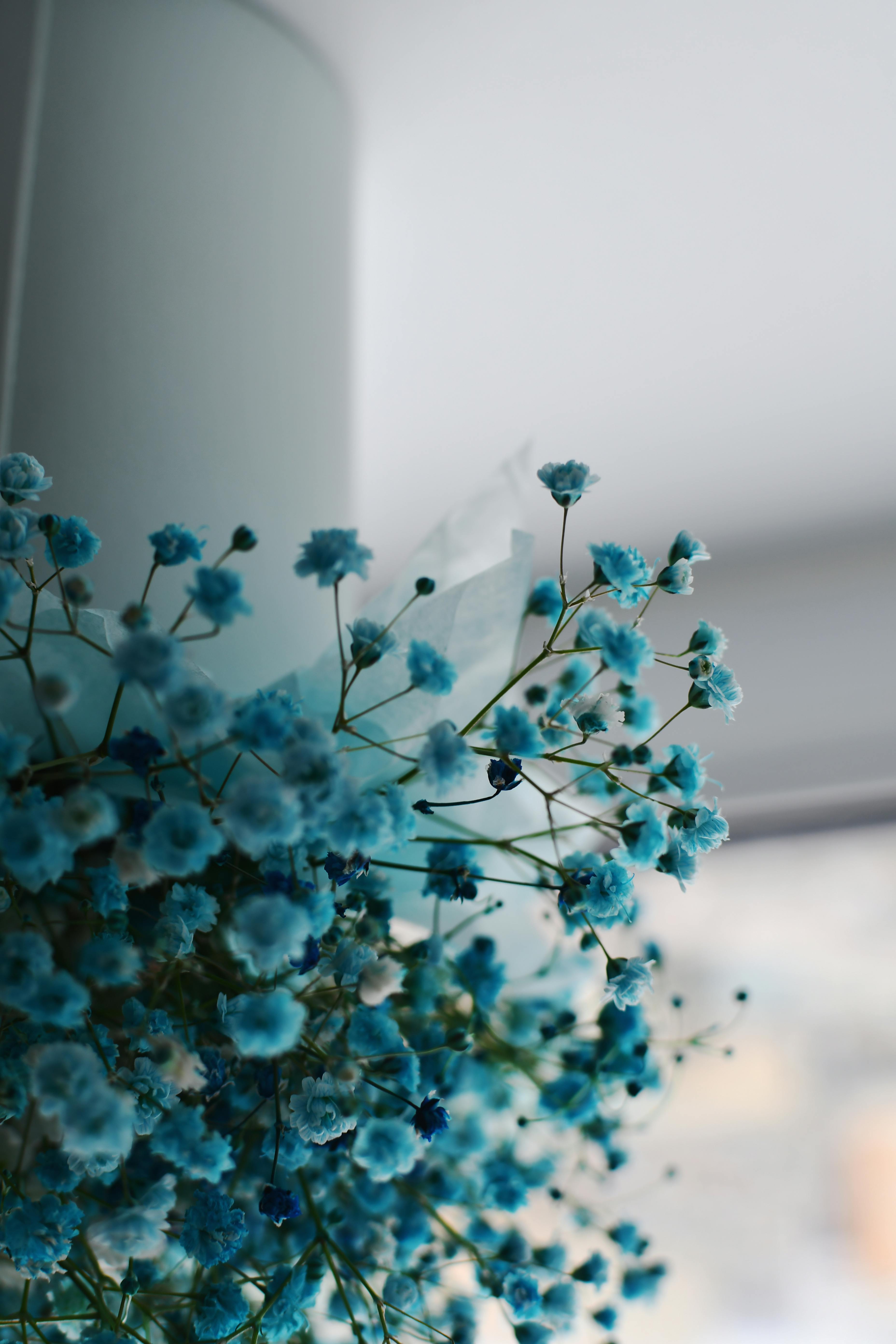 Blue Processor Photos, Download The BEST Free Blue Processor Stock ...