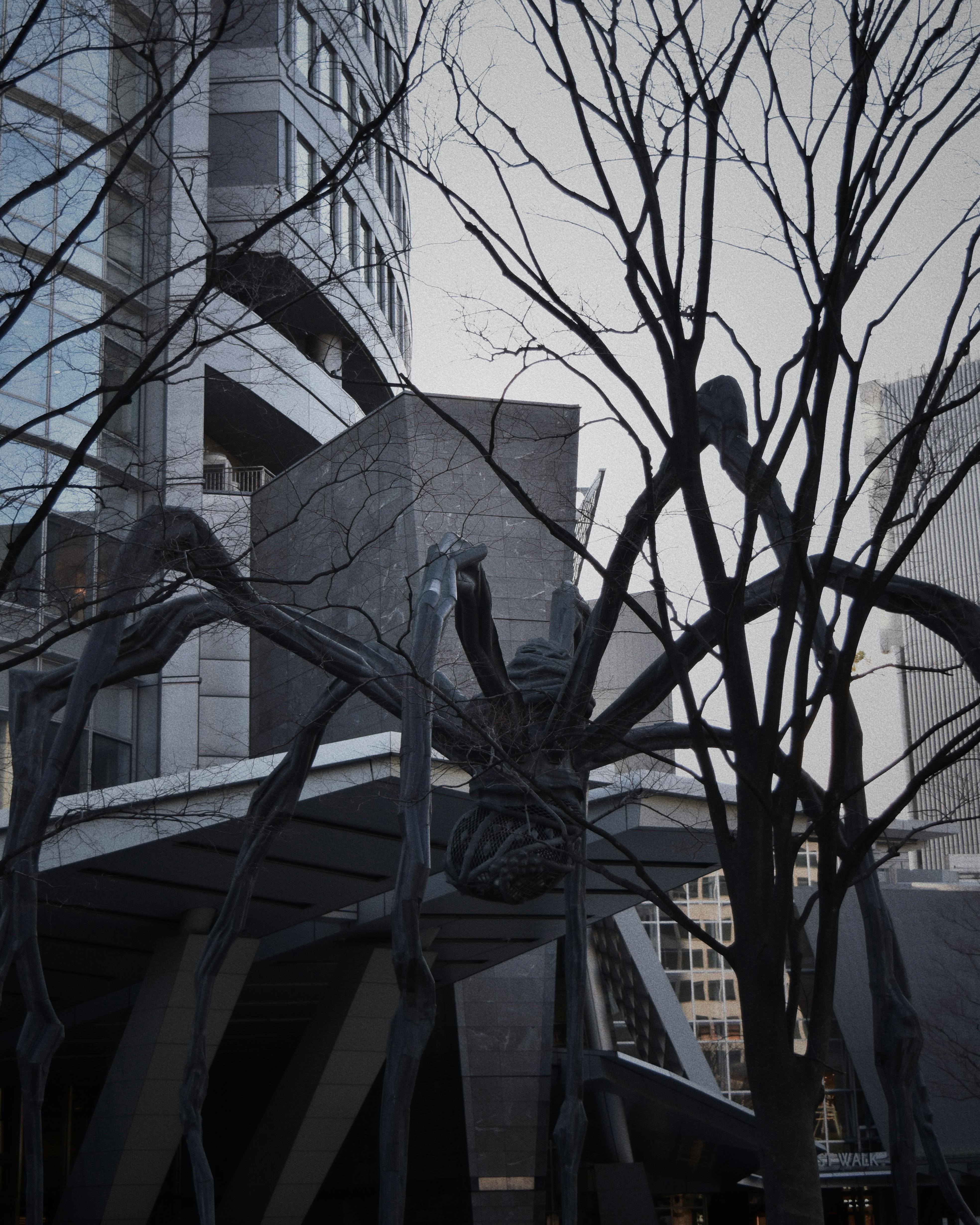 Maman Spider Sculpture in Ottawa · Free Stock Photo