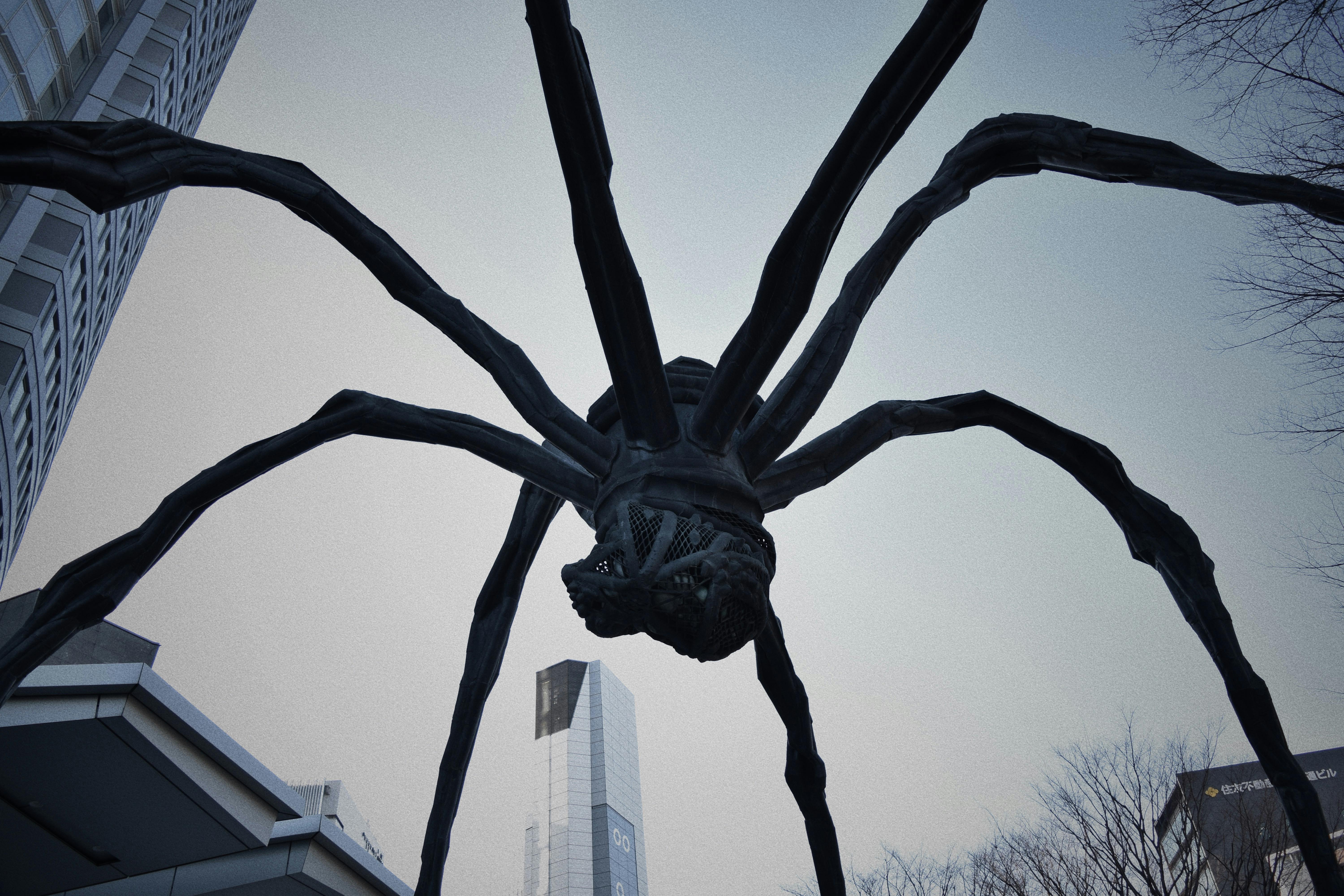 A Spider Statue in Bilbao · Free Stock Photo