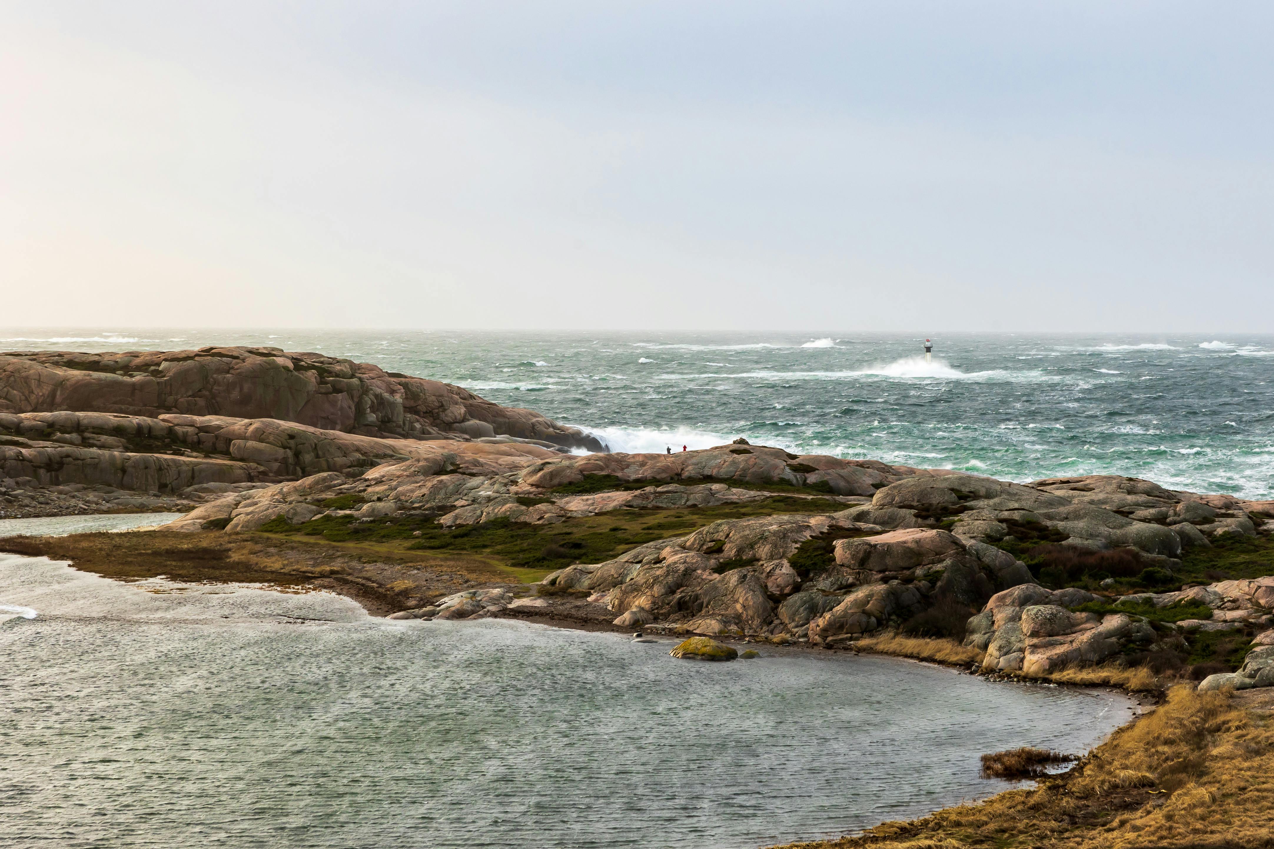 Ulle Haddock - 사진