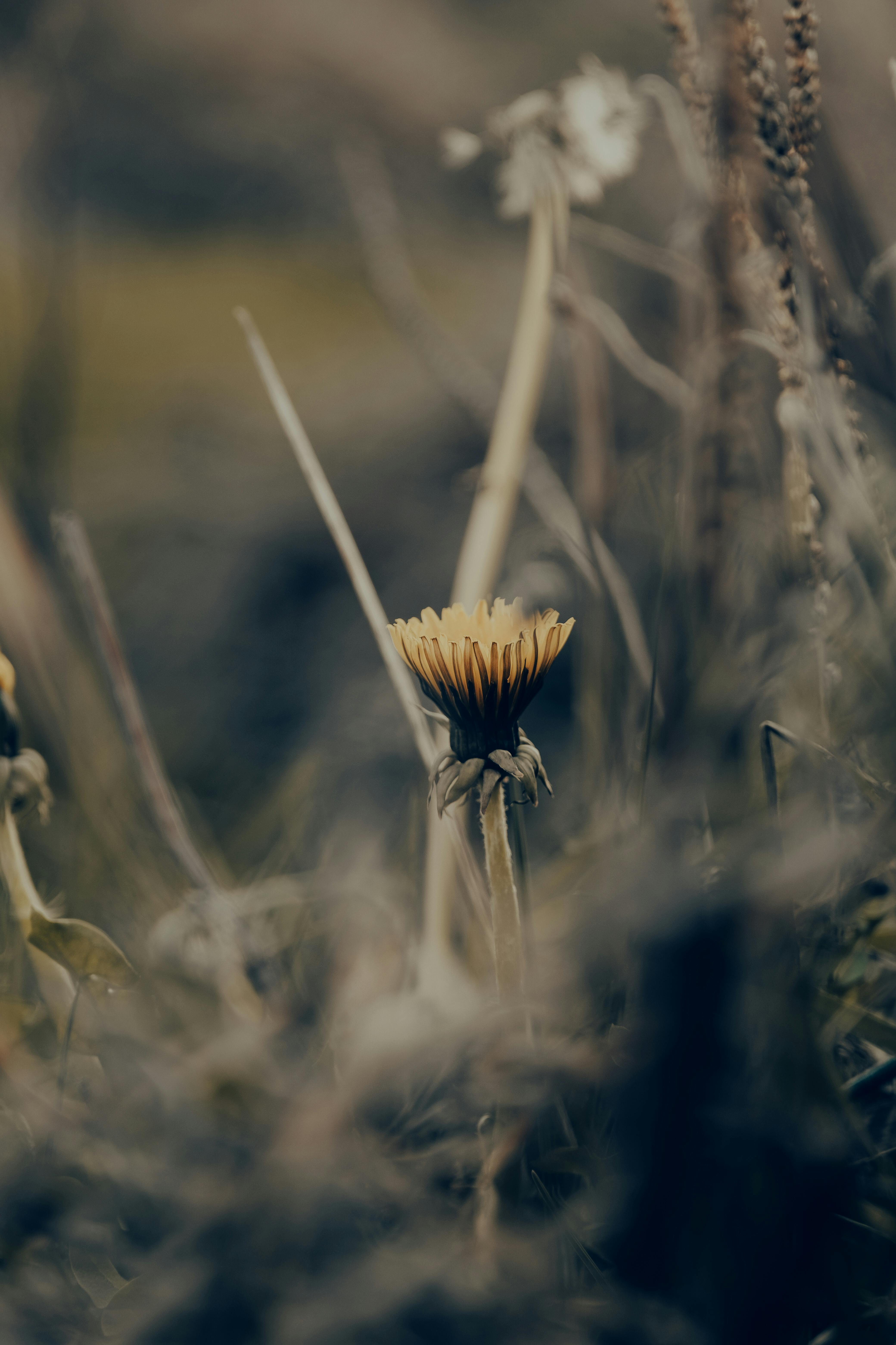 500px Photos, Download The BEST Free 500px Stock Photos & HD Images