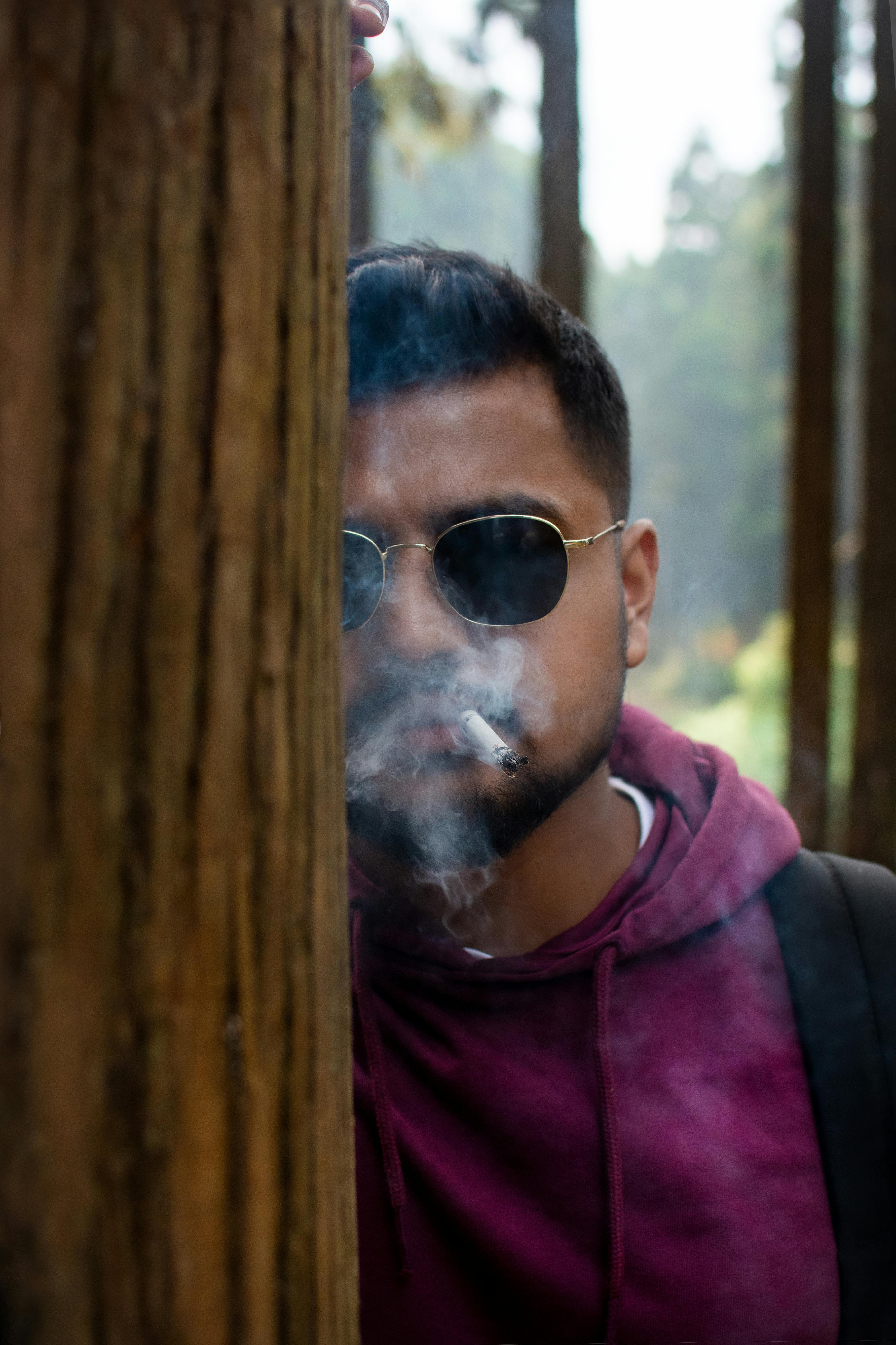 Smoking In Forest Photos, Download The BEST Free Smoking In Forest ...