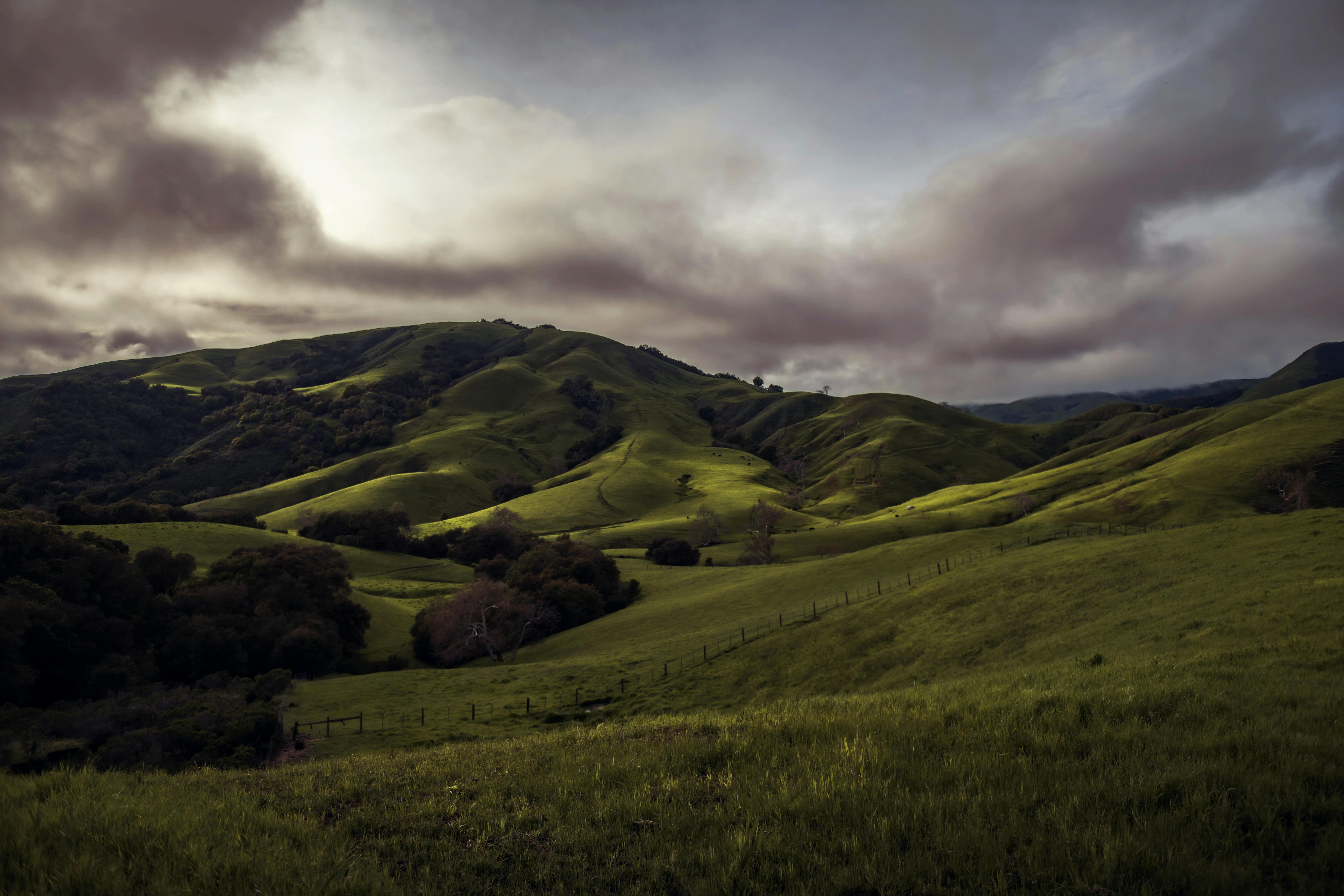 Green Rolling Hills · Free Stock Photo