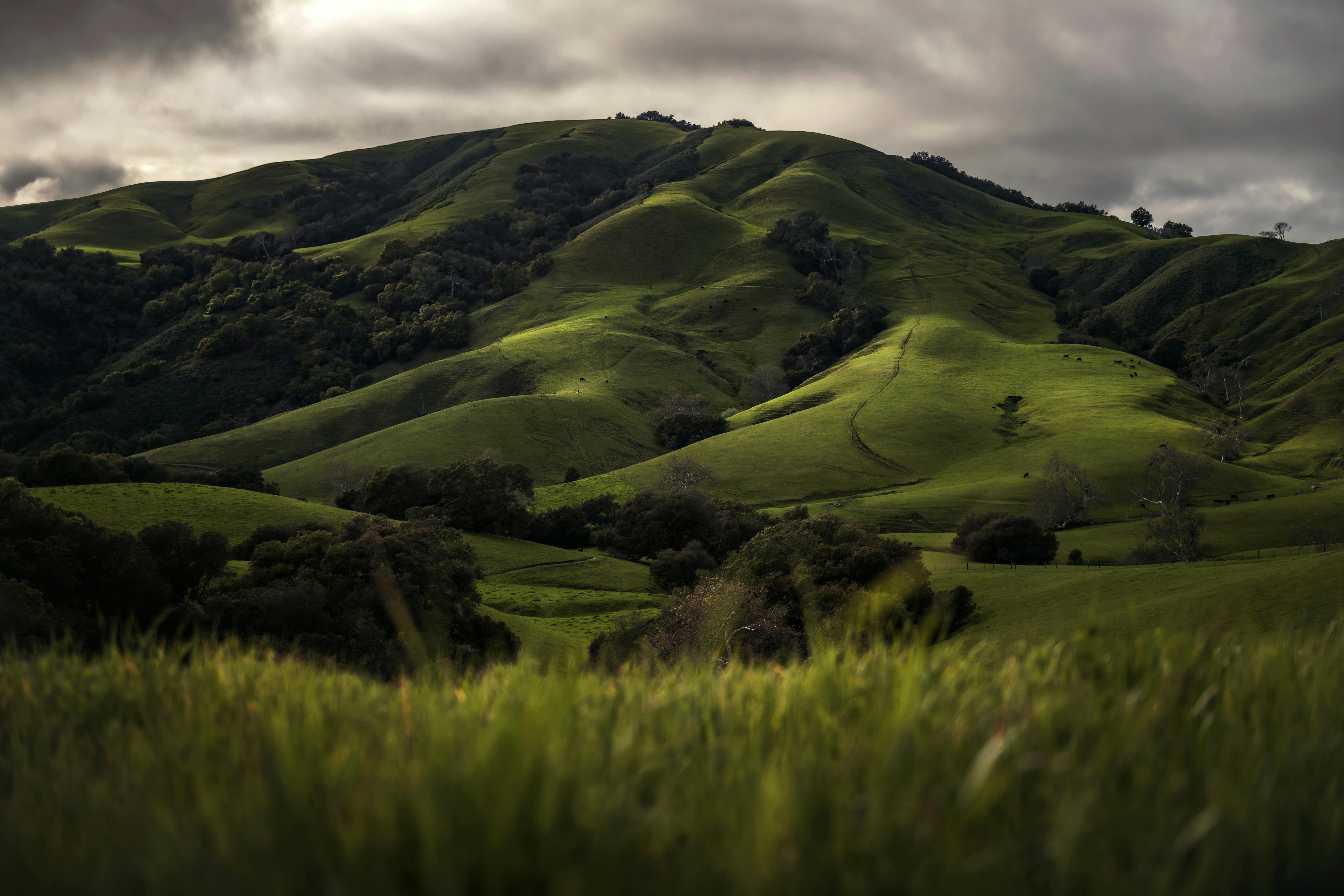 Green Rolling Hills · Free Stock Photo
