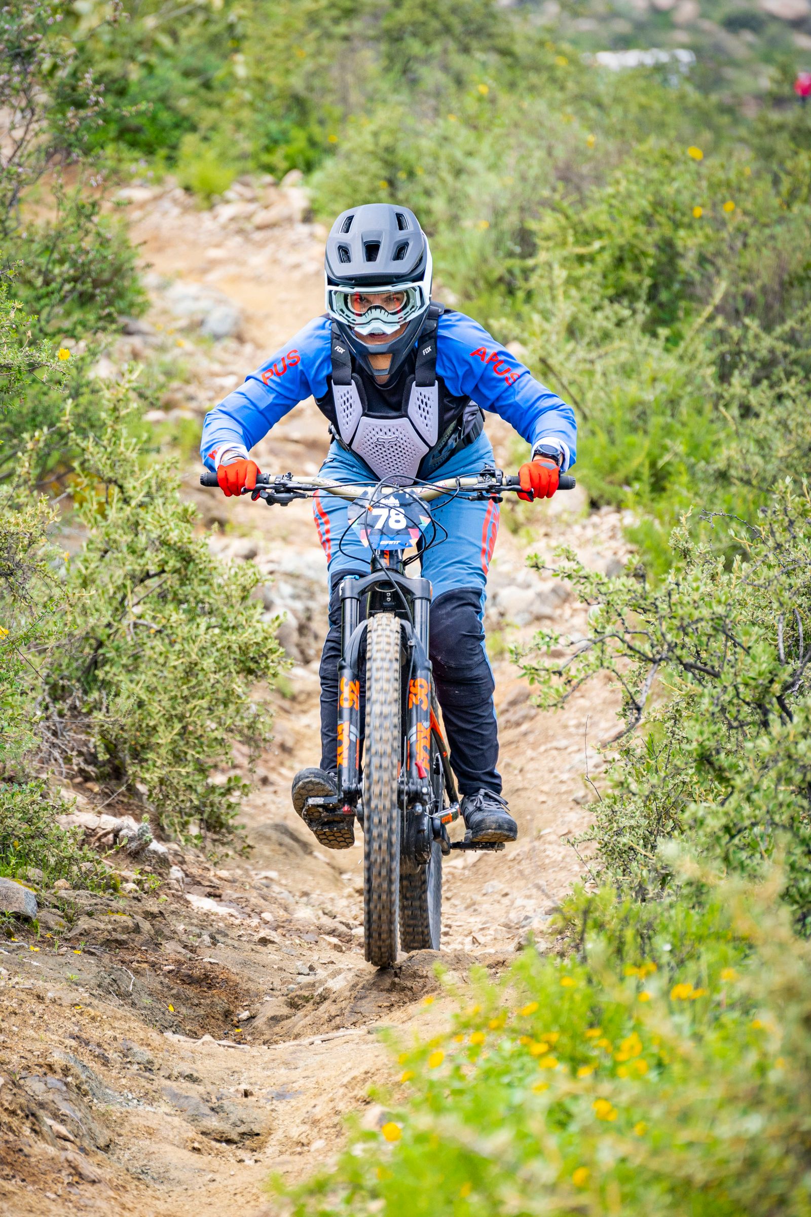 Woman Riding A Bike Photos, Download The BEST Free Woman Riding A Bike ...