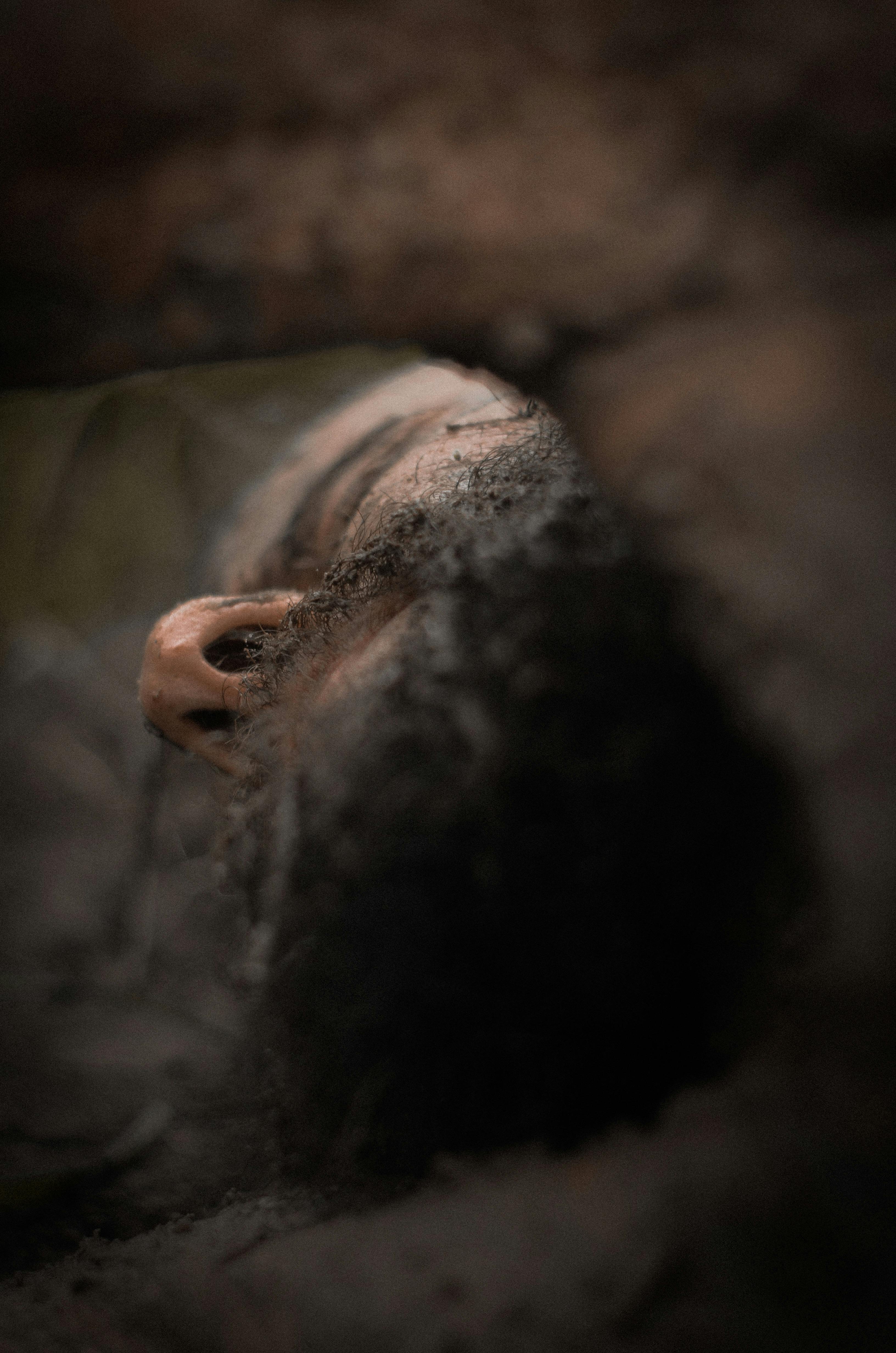 Daniel Jacques - Fotografía